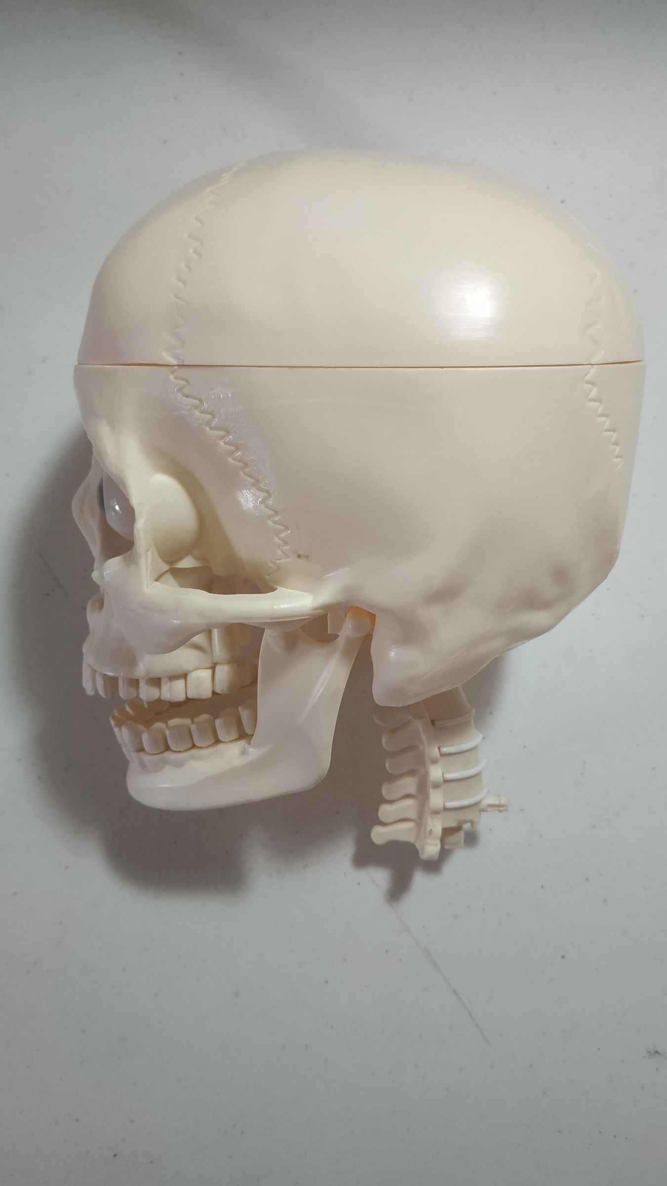 Animatronic Skull With Arduino : 7 Steps (with Pictures) - Instructables