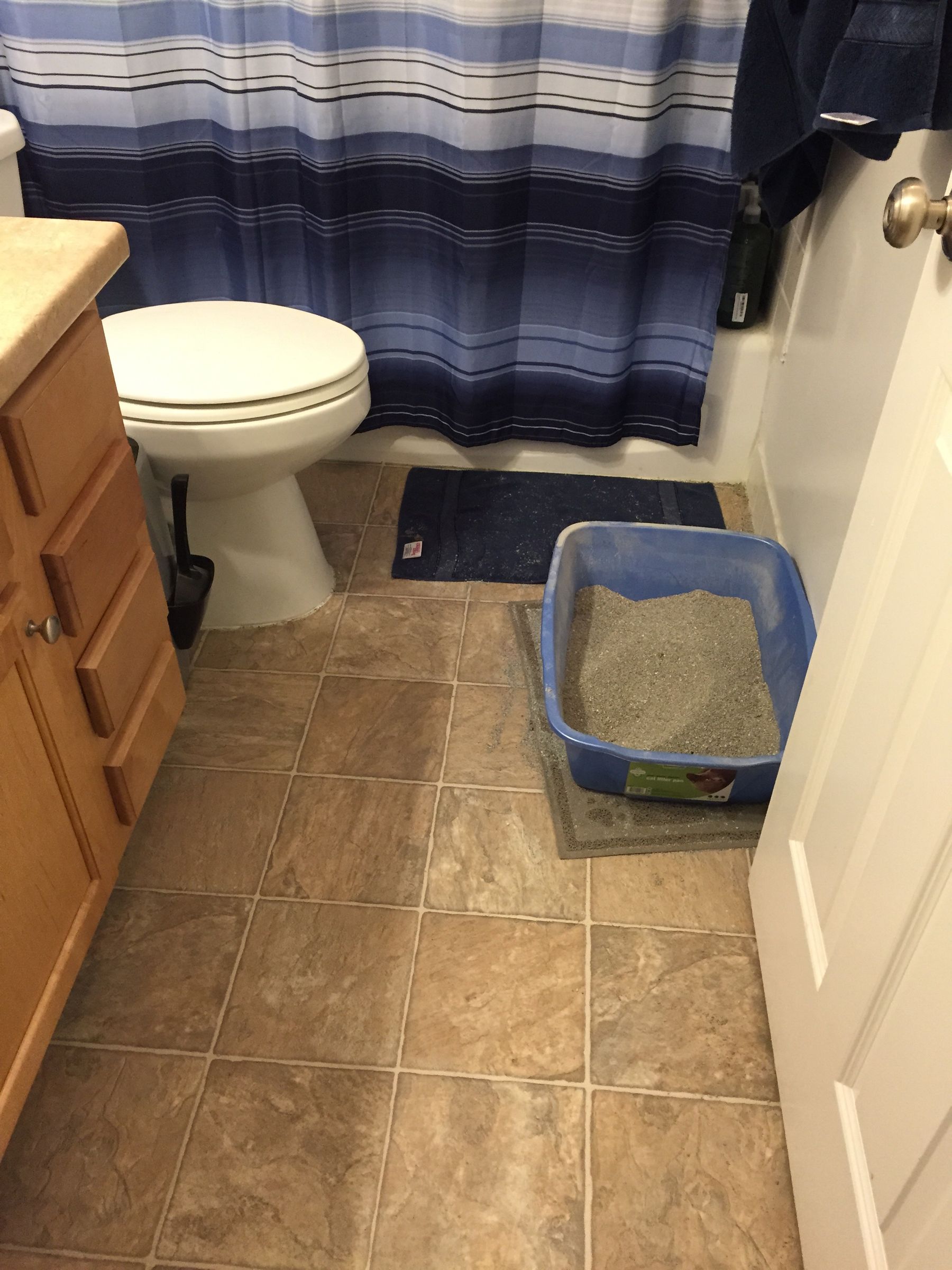 Kitten Vanity Litter Bin : 4 Steps (with Pictures) - Instructables