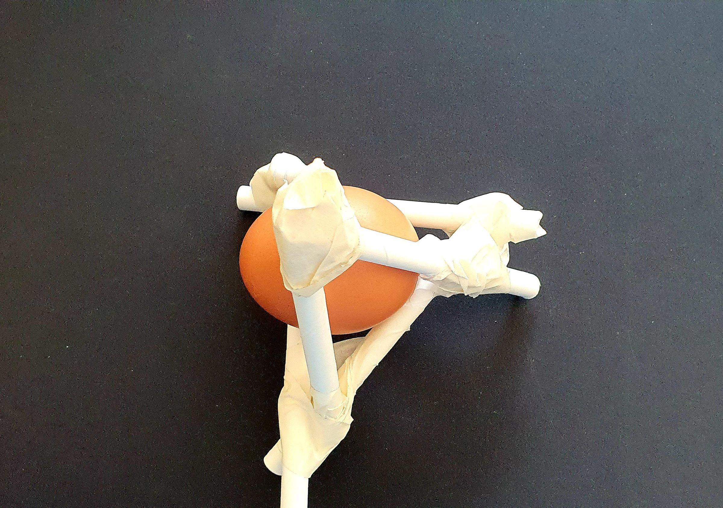 Egg Drop : 7 Steps (with Pictures) - Instructables