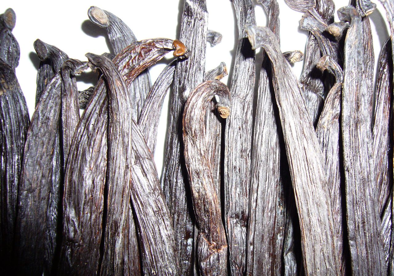 Make Vanilla Extract : 23 Steps (with Pictures) - Instructables