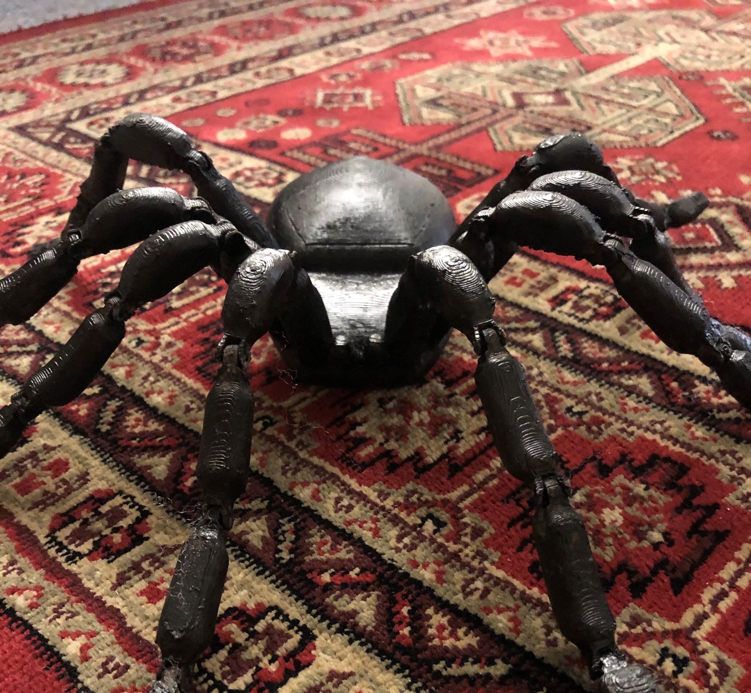 3D Printed Spider : 4 Steps - Instructables