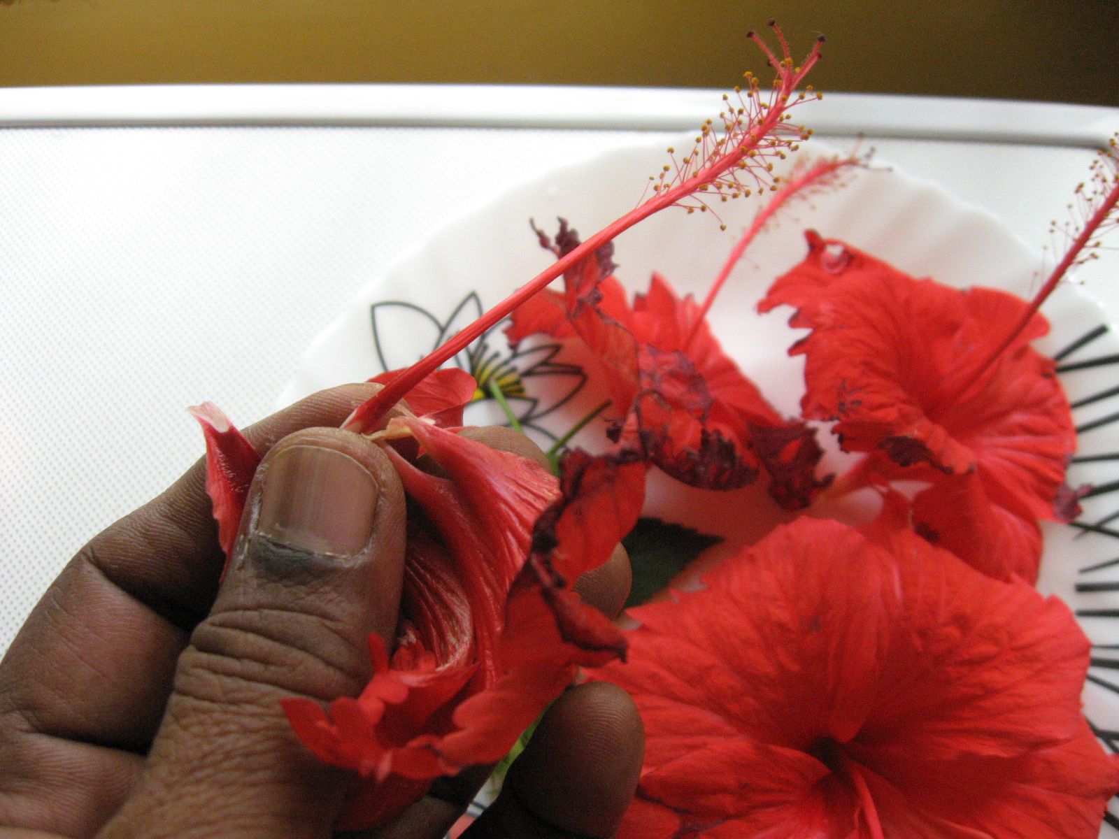 Hibiscus Tea With Fresh Flowers and Honey : 7 Steps (with Pictures ...