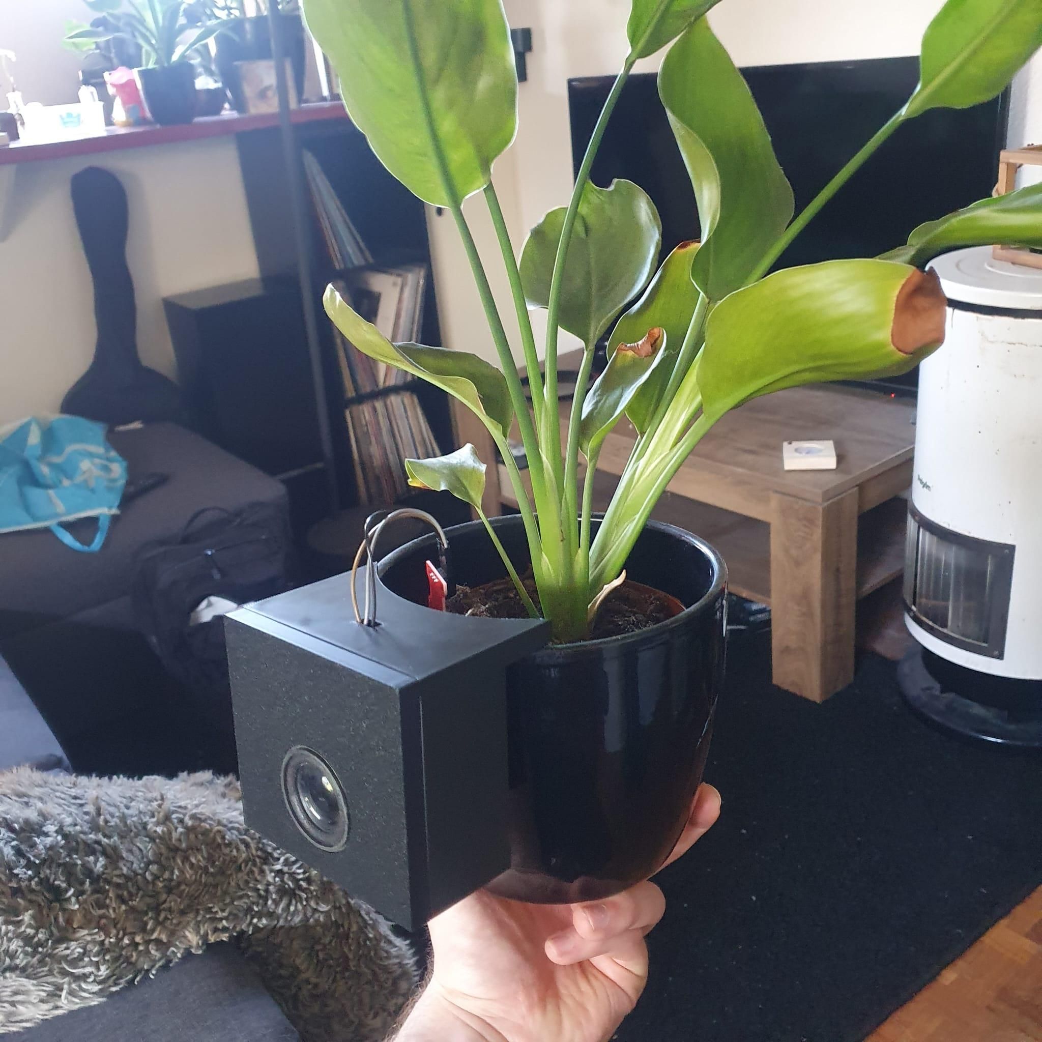 Talking Flower Pot Add-On With Arduino : 5 Steps (with Pictures ...