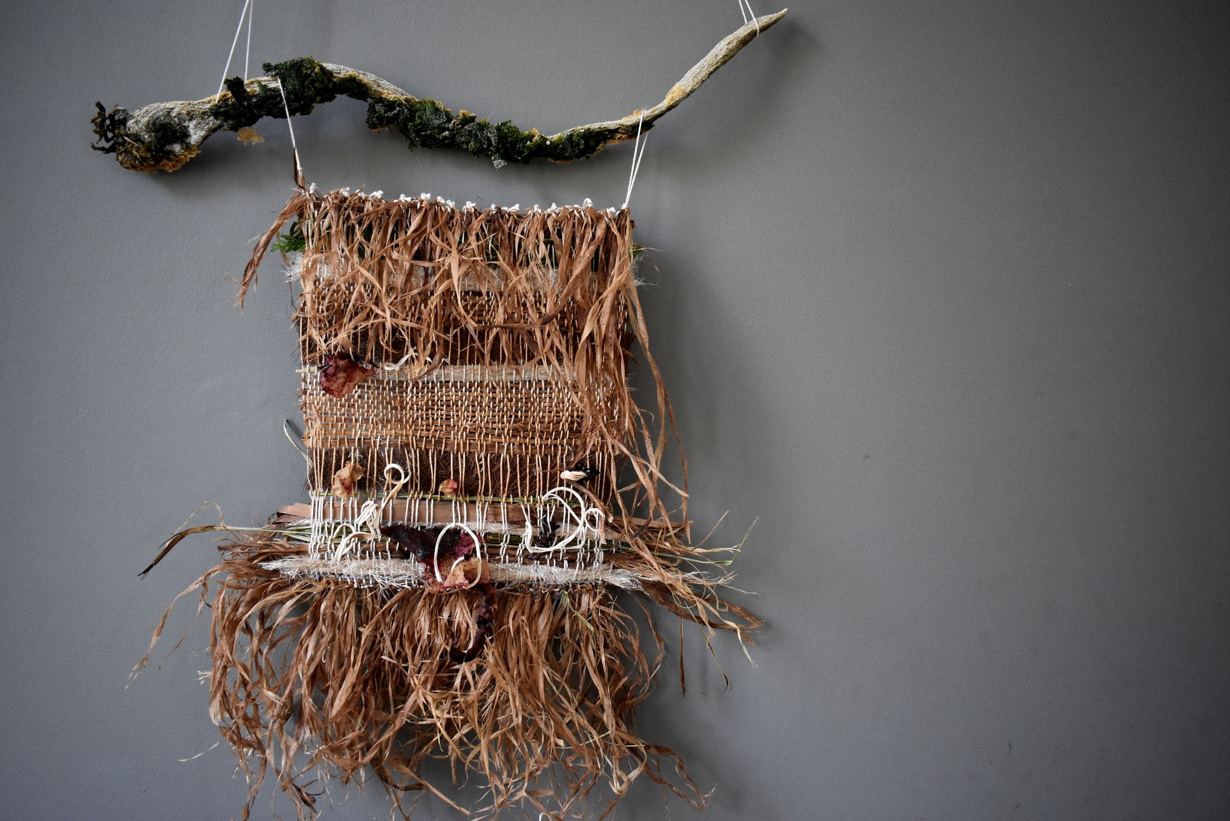 Weaving With Nature : 8 Steps (with Pictures) - Instructables