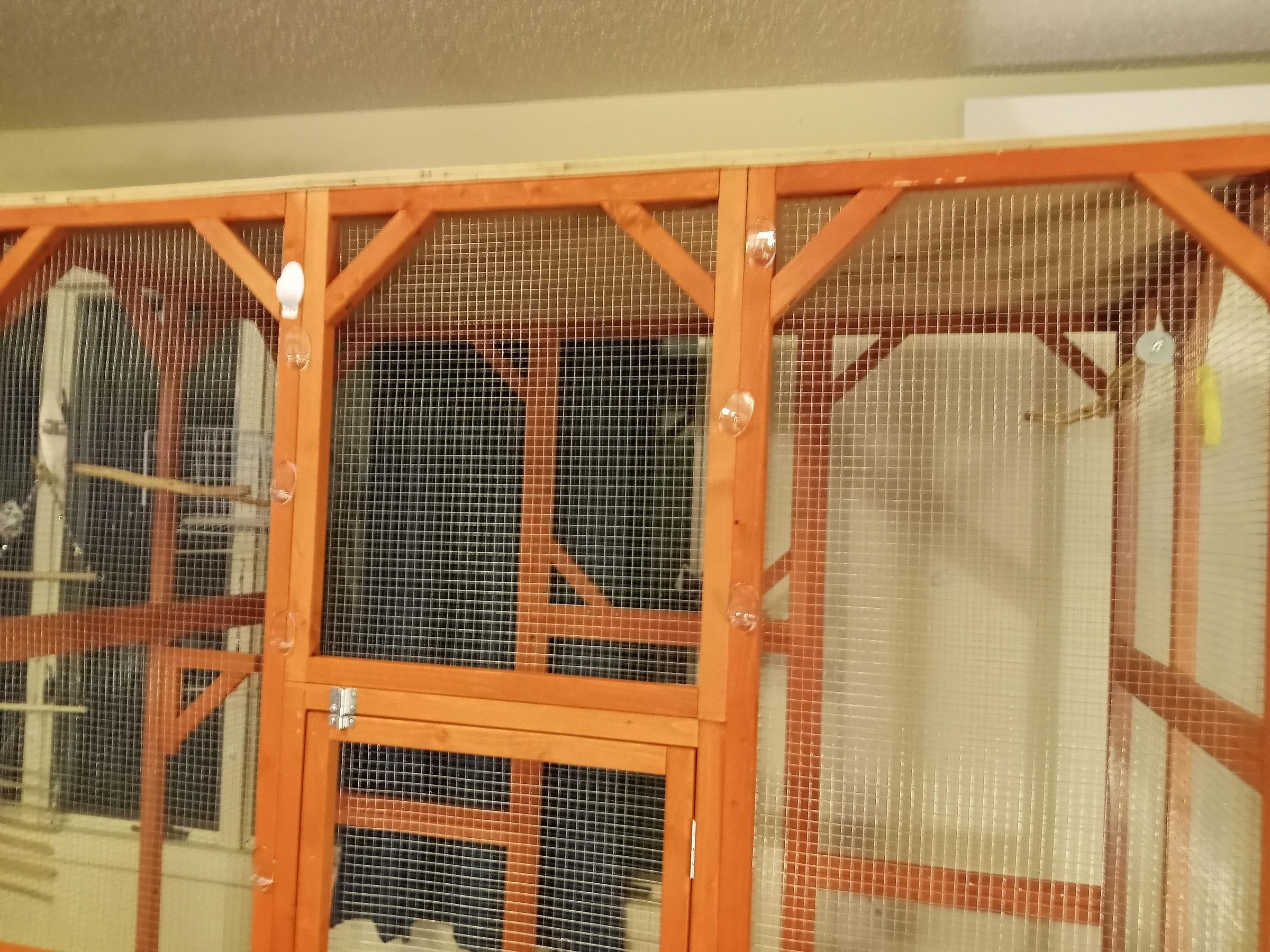 Walk-in Bird Aviary : 9 Steps (with Pictures) - Instructables