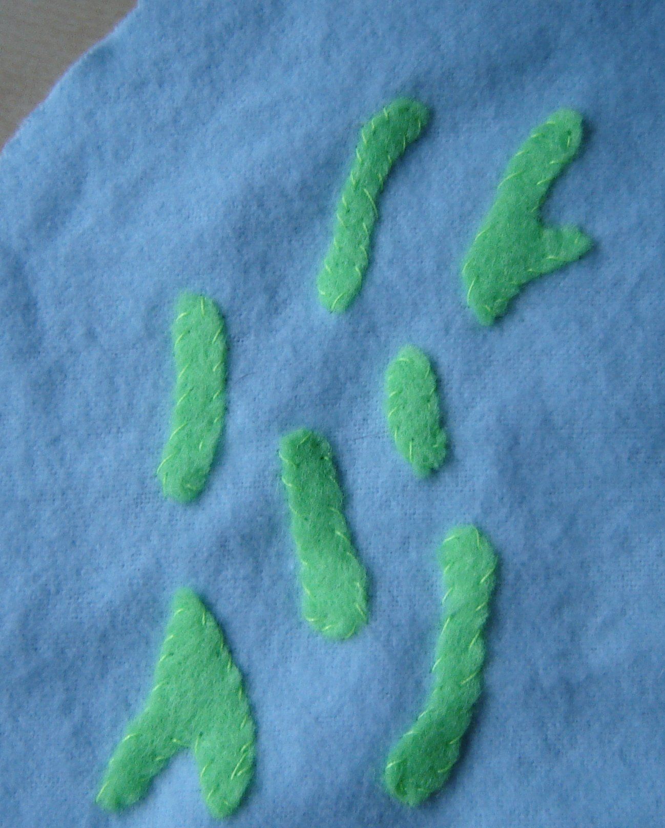 Plush Cell Model : 13 Steps (with Pictures) - Instructables