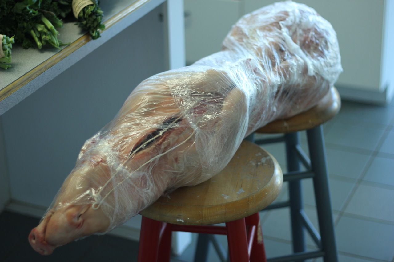 How to Roast a Pig : 20 Steps (with Pictures) - Instructables