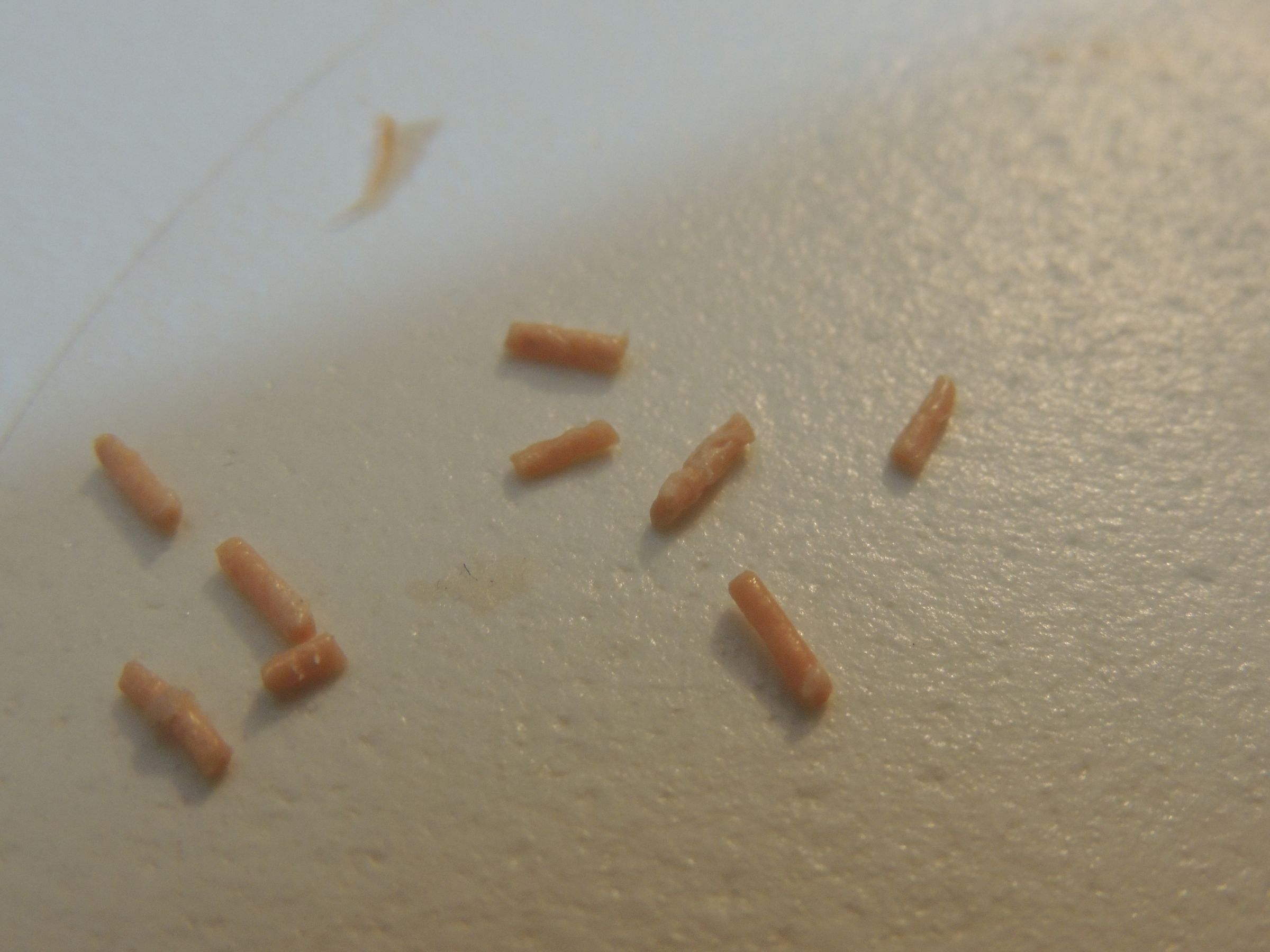 Maggot Infested Skin (Trypophobia) Doctor Costume : 5 Steps (with ...
