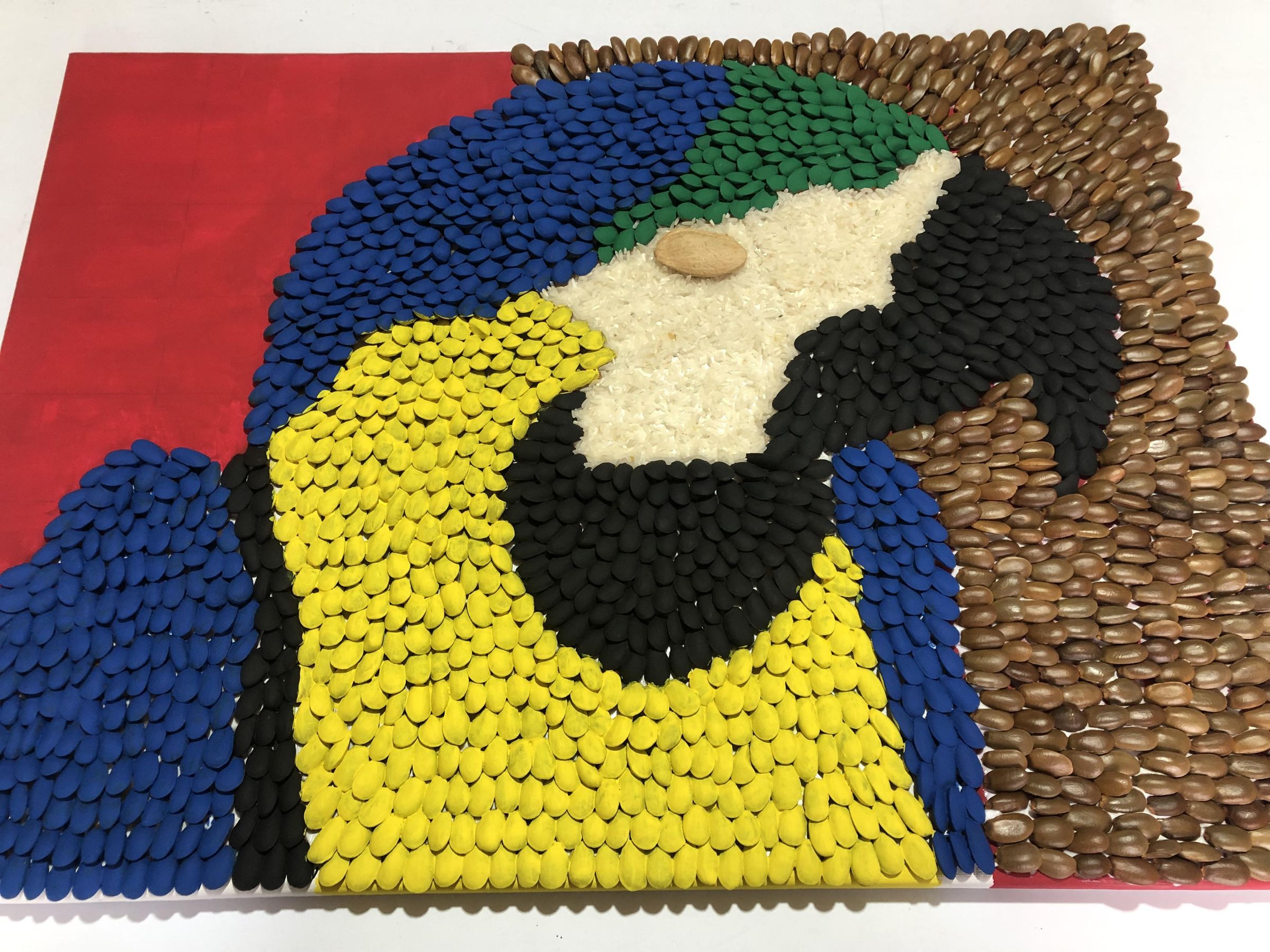 Macaw With Soursop Seeds, Rice and Mango. : 12 Steps (with Pictures ...