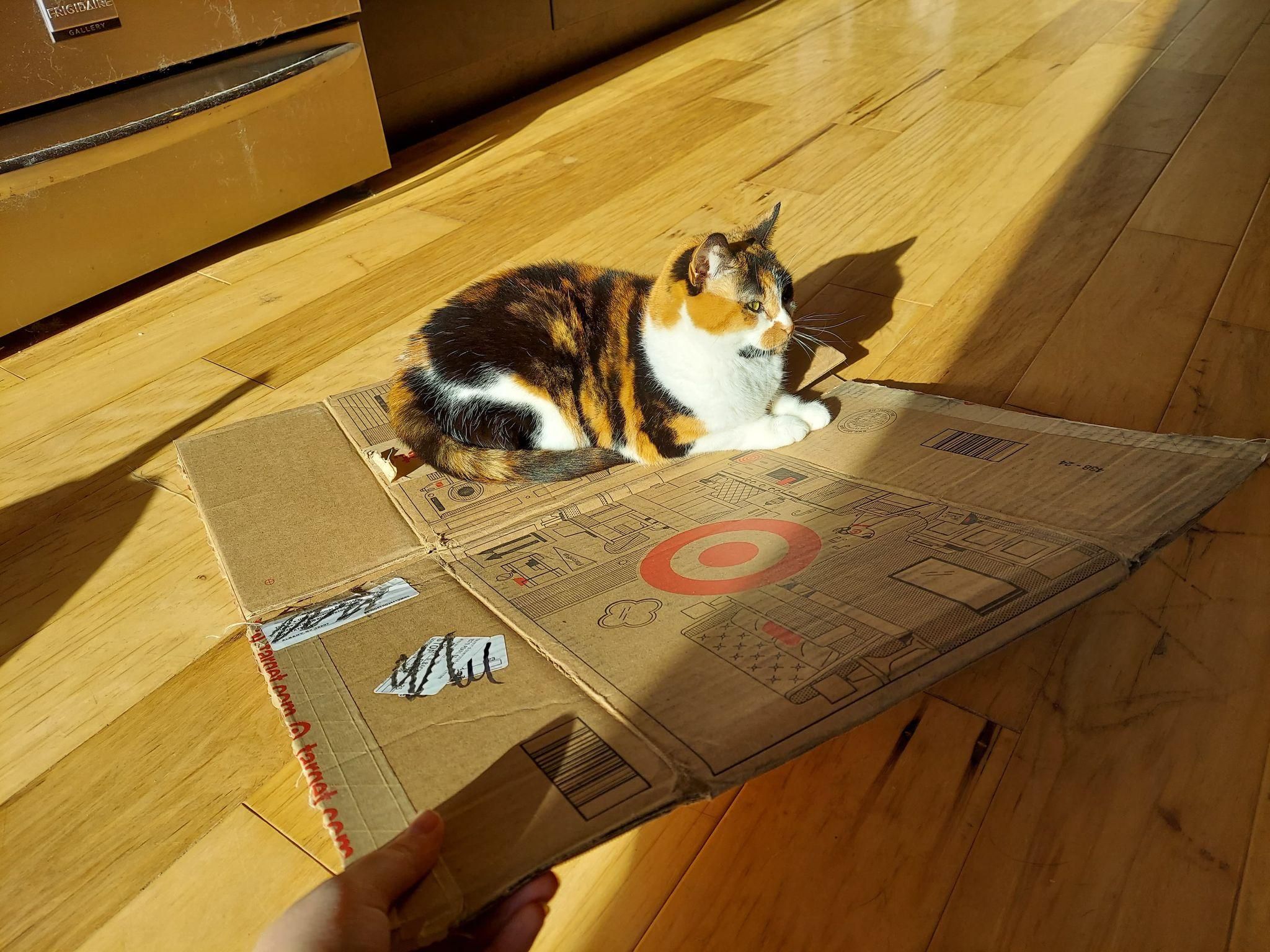 Cardboard Gingerbread Cat House : 12 Steps (with Pictures) - Instructables