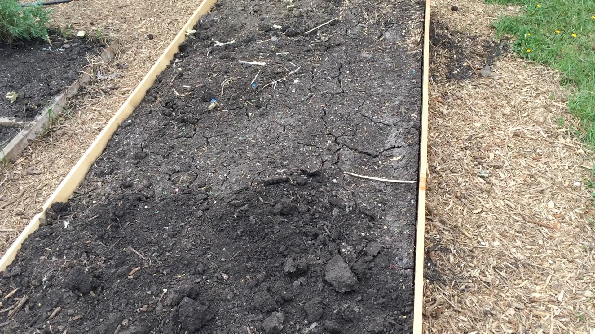 5 Great Ways to Use Cardboard in the Garden : 5 Steps - Instructables