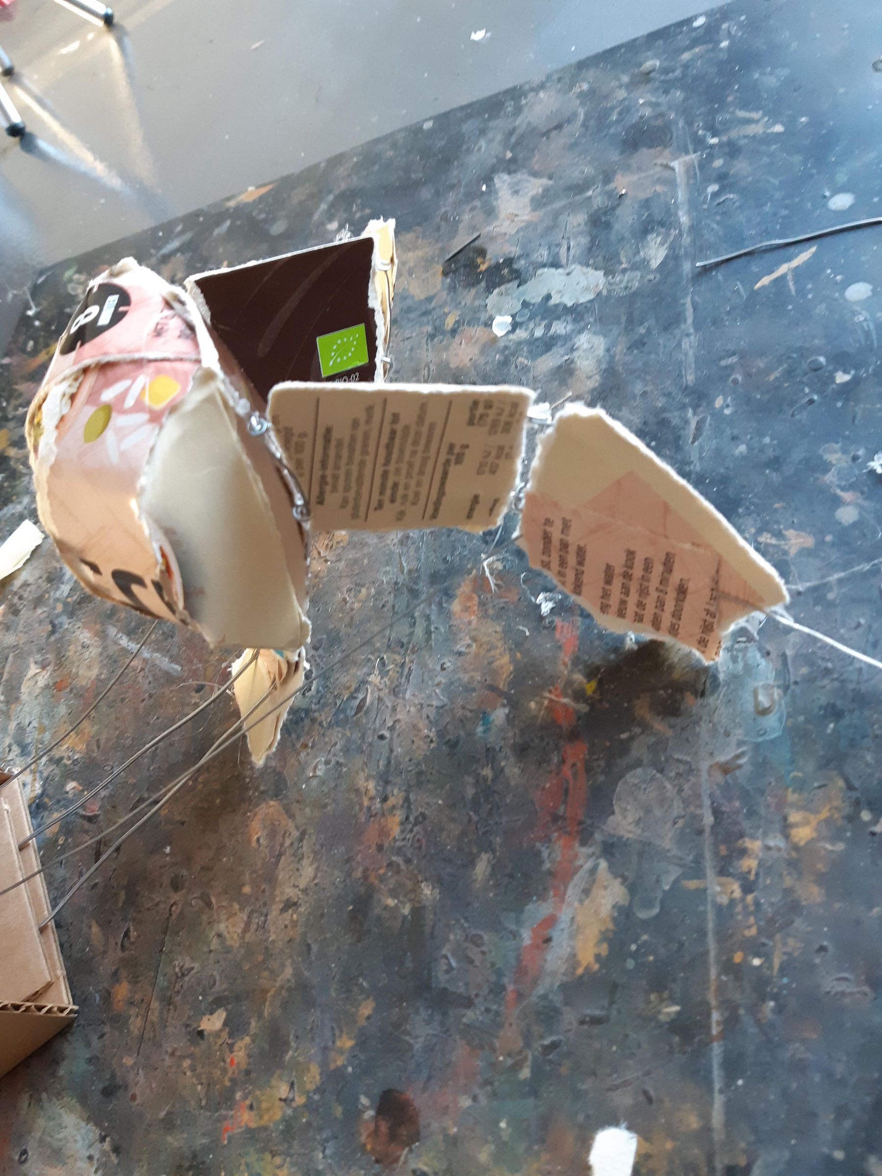 Bird Out of the Box : 10 Steps (with Pictures) - Instructables