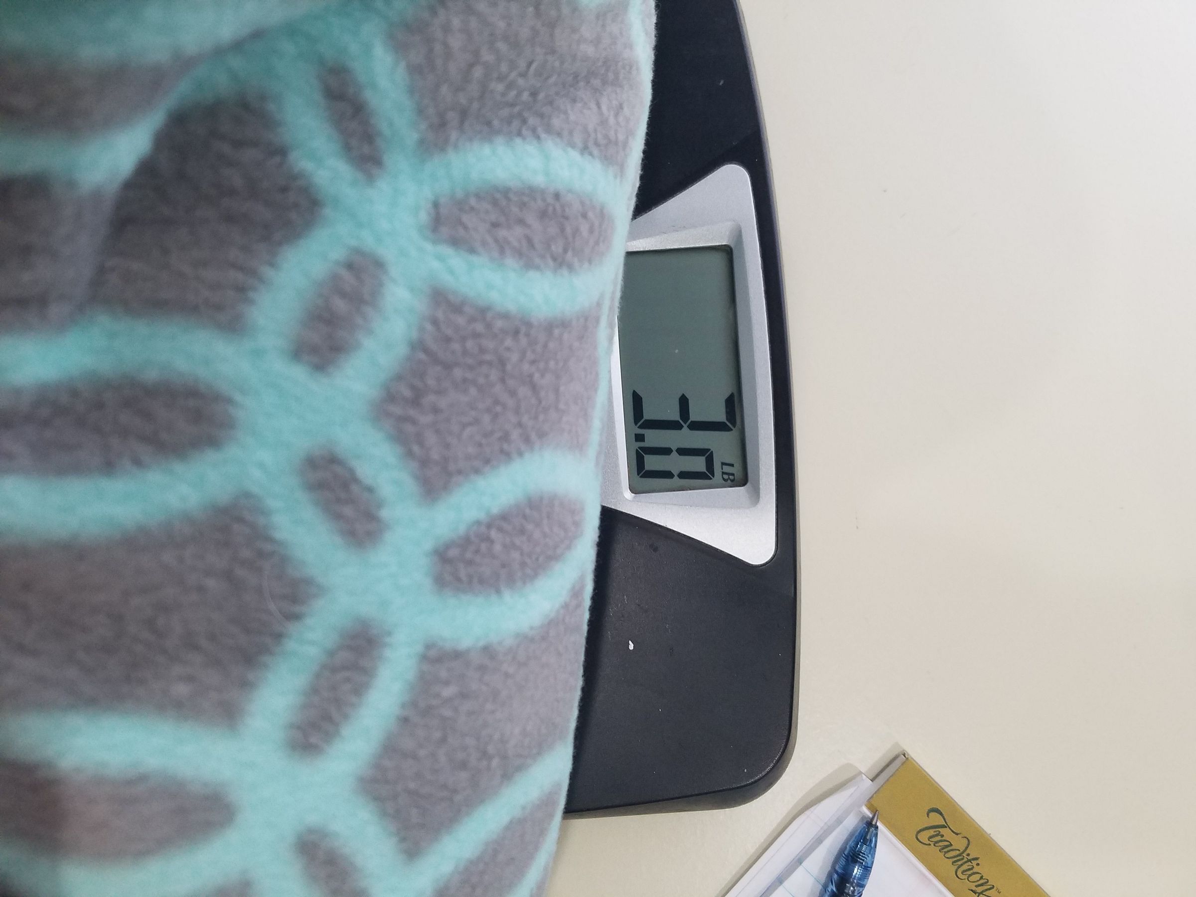 Weighted Blanket - Including What to Know Before You Start : 14 Steps ...