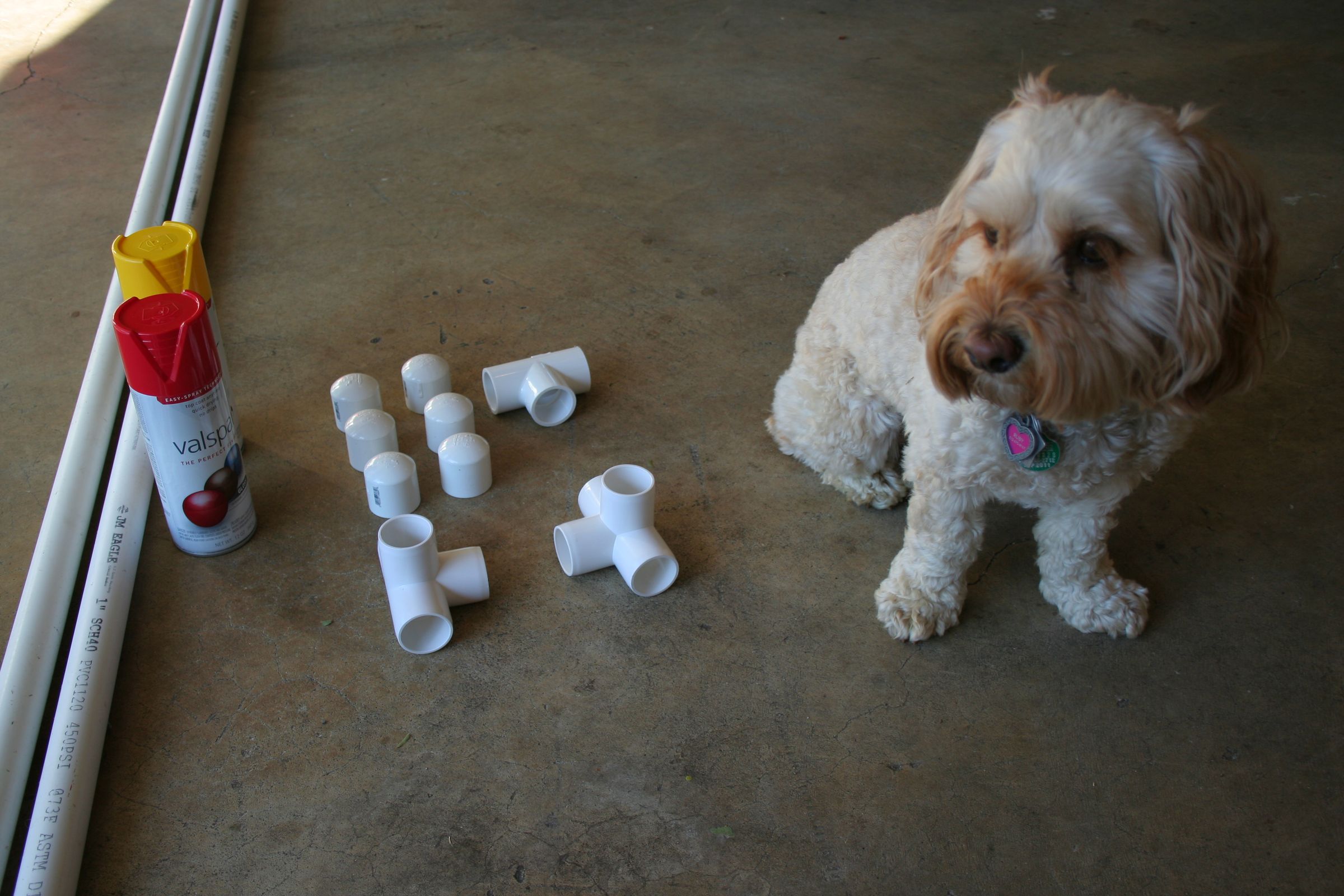 Dog Agility Jump : 8 Steps (with Pictures) - Instructables