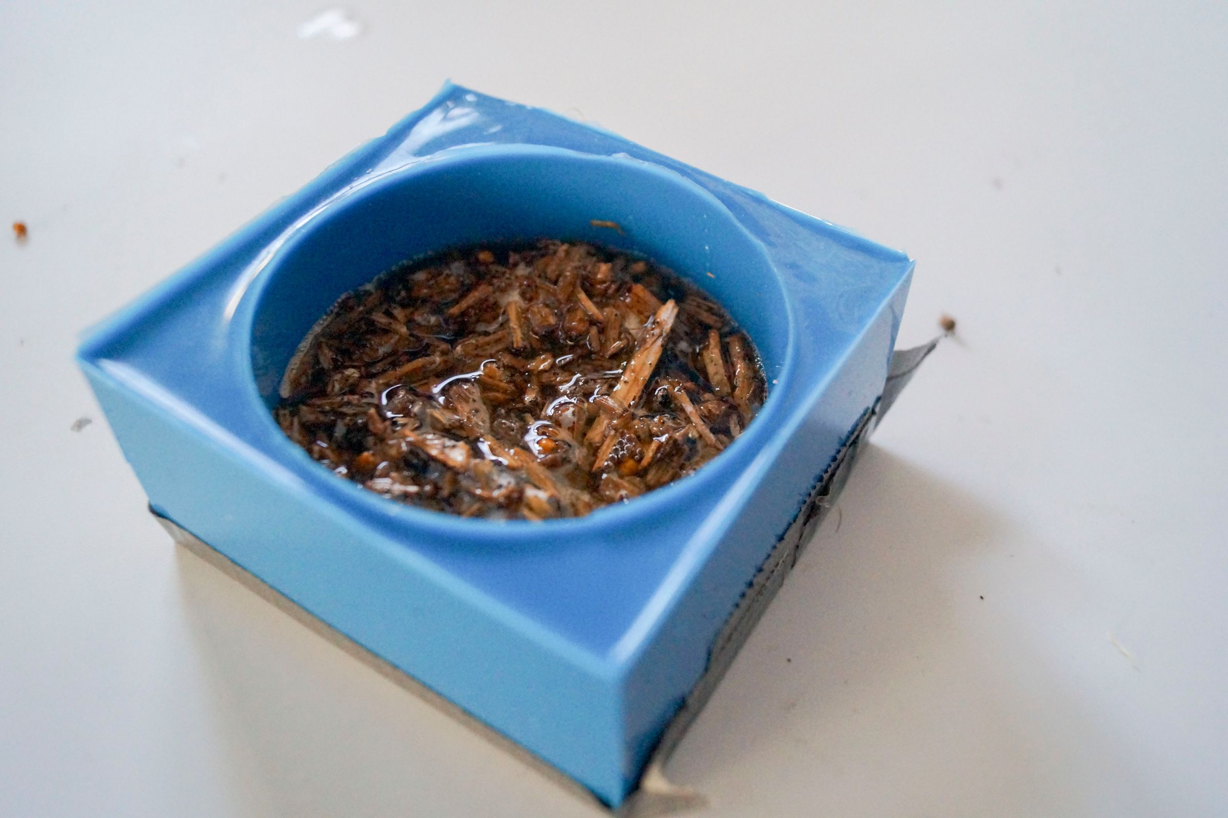 Creativity : Geocatch Map : 13 Steps (with Pictures) - Instructables