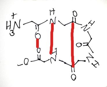 How to Draw Peptide Chains : 18 Steps (with Pictures) - Instructables