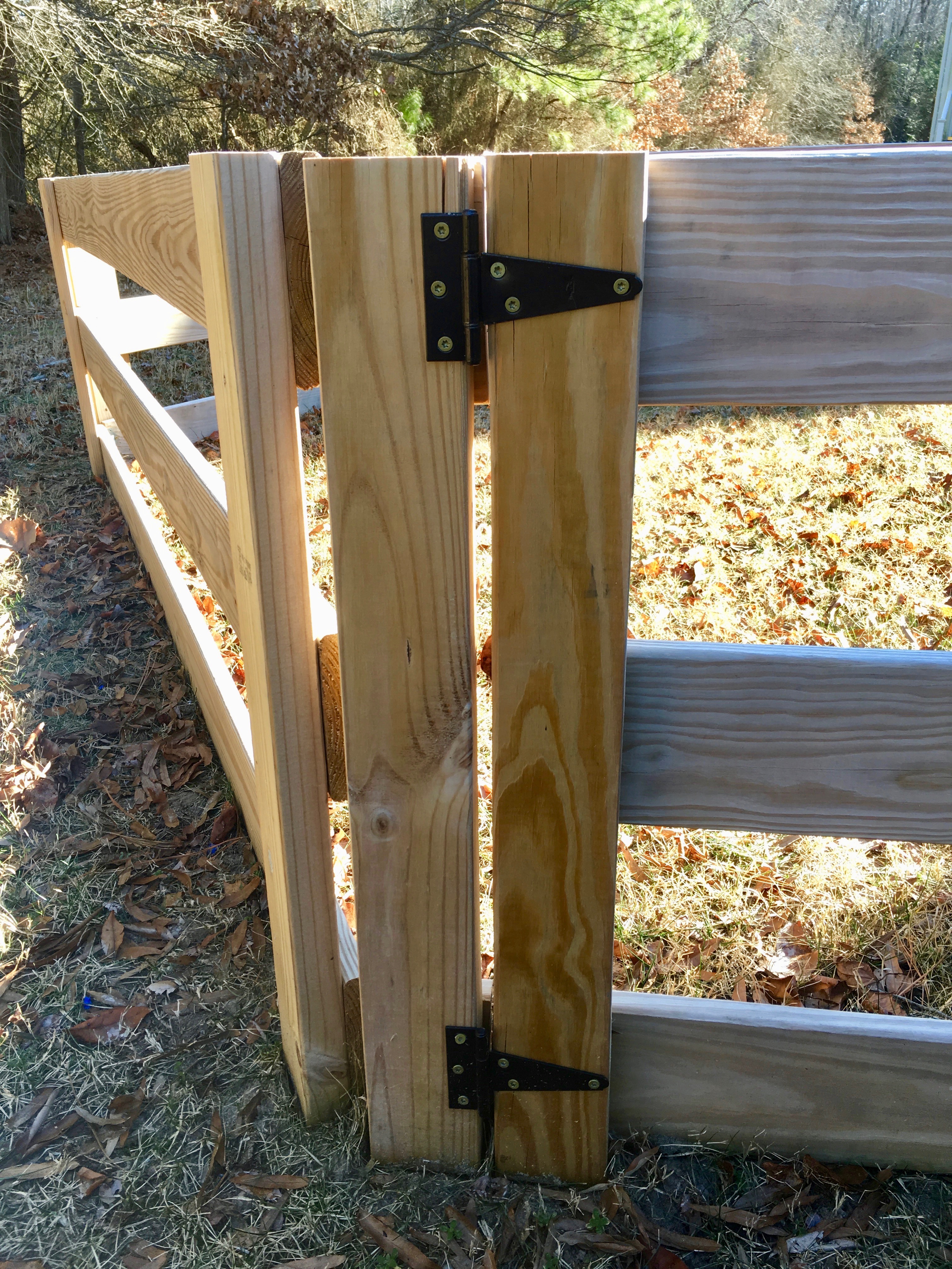 Gaga Pit : 4 Steps (with Pictures) - Instructables