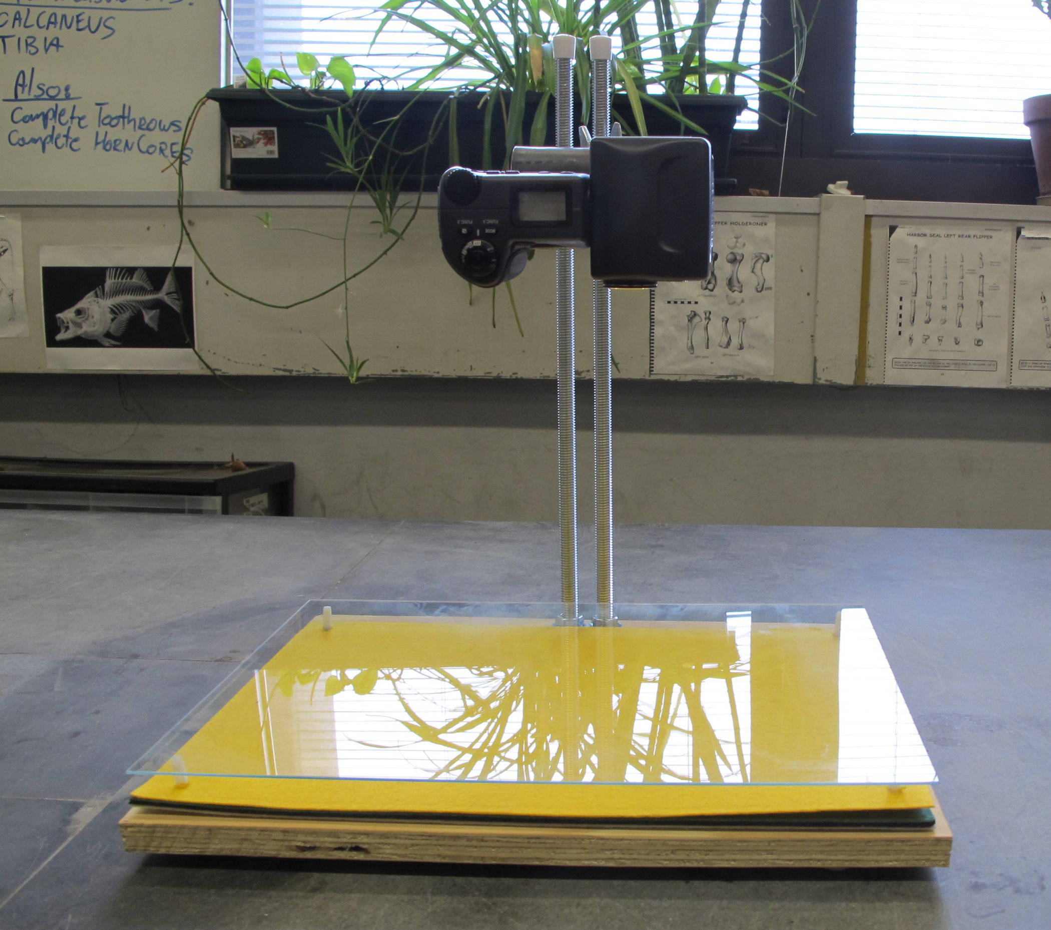 Macro Photo Stand - Instructables