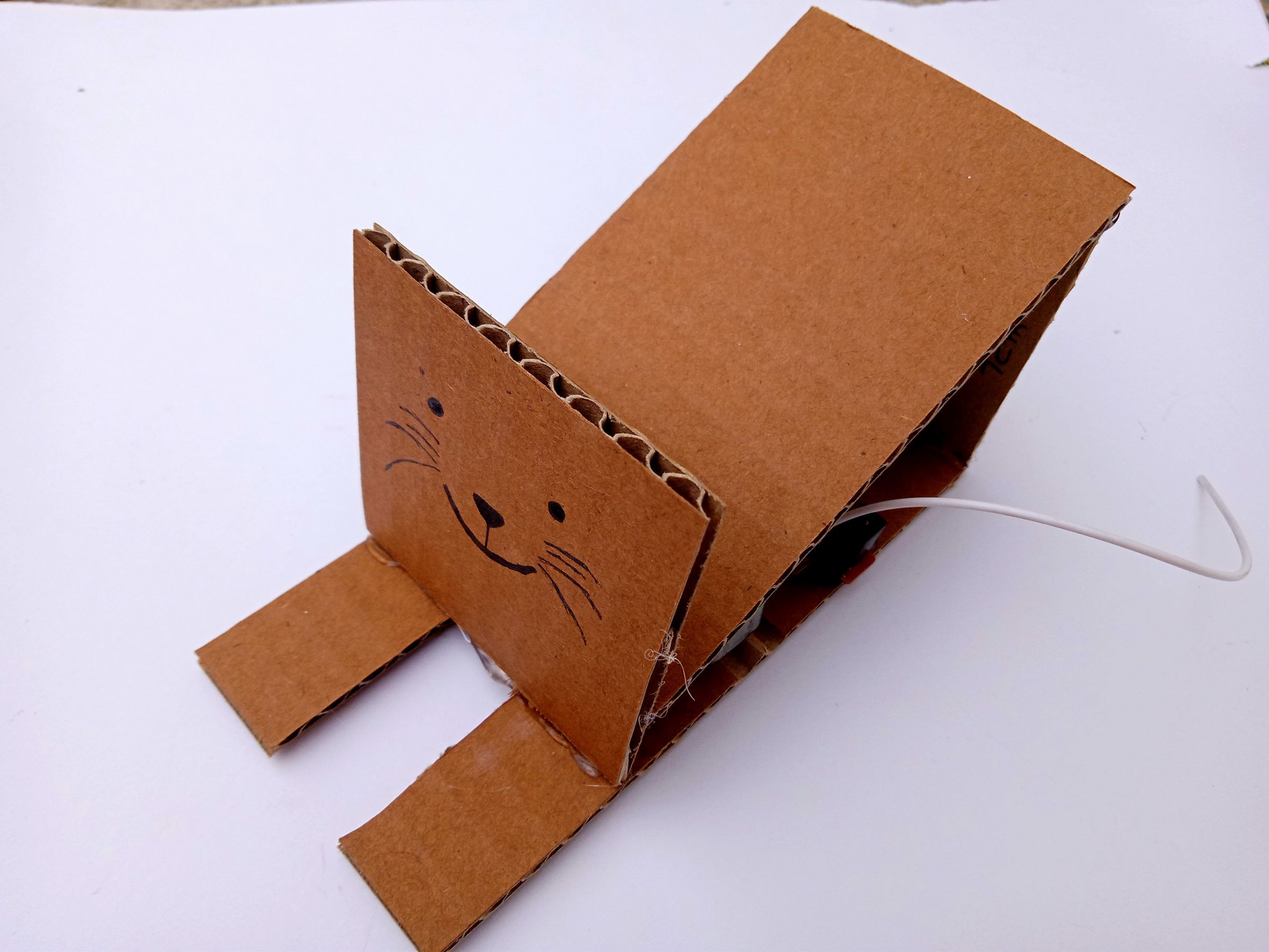 RC Cardboard Cat : 8 Steps (with Pictures) - Instructables