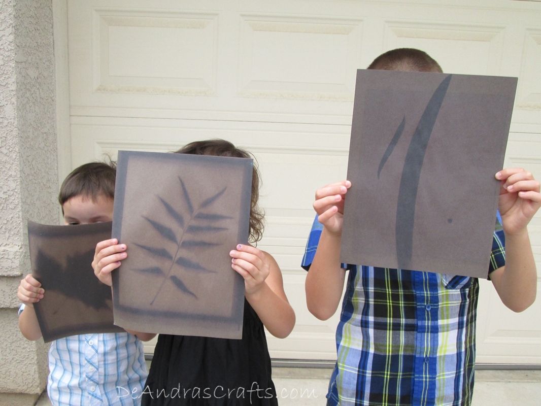 DIY Construction Paper Solar Prints : 6 Steps (with Pictures ...