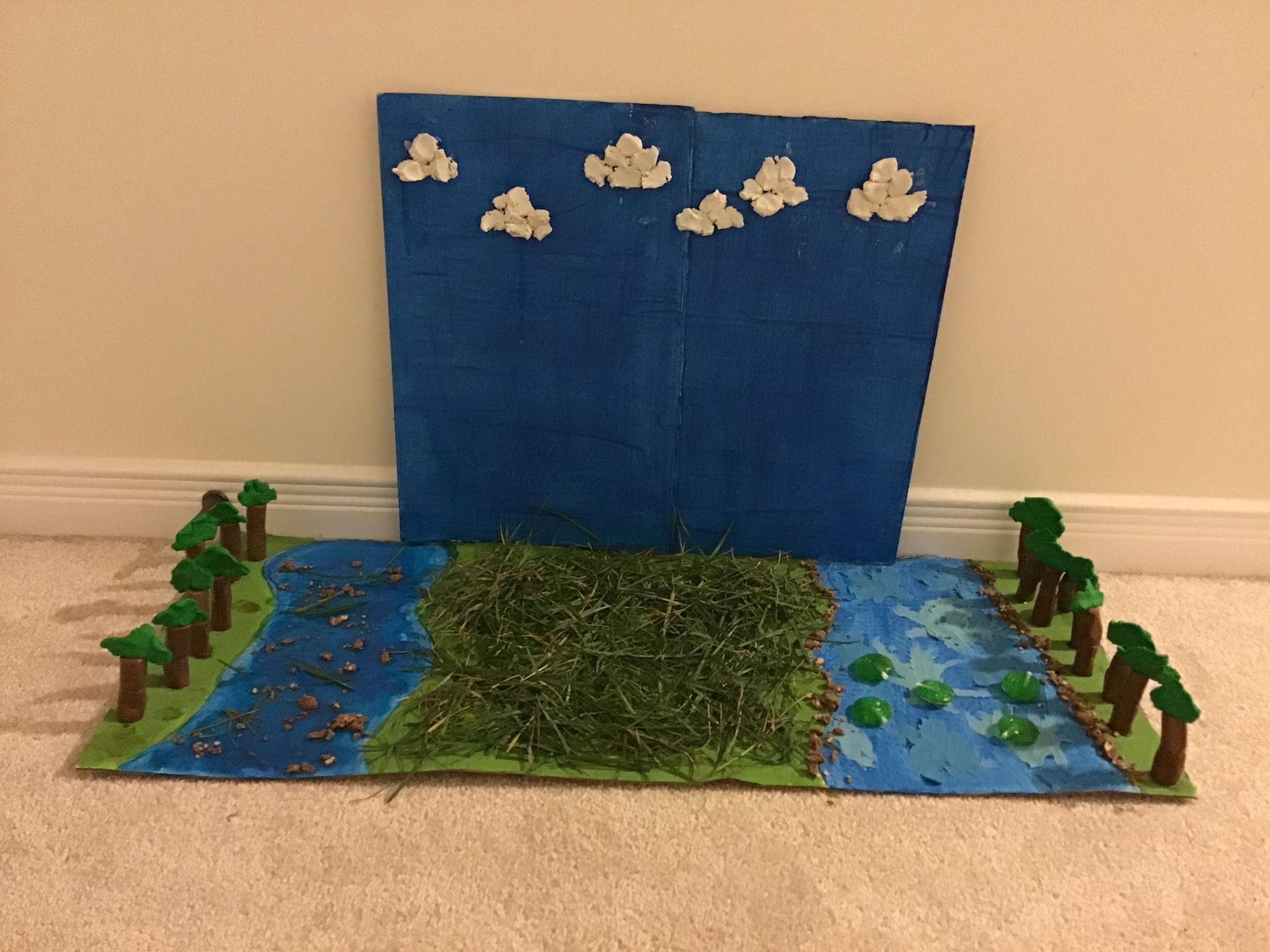 Easy Freshwater Ecosystem With Candy! : 10 Steps - Instructables