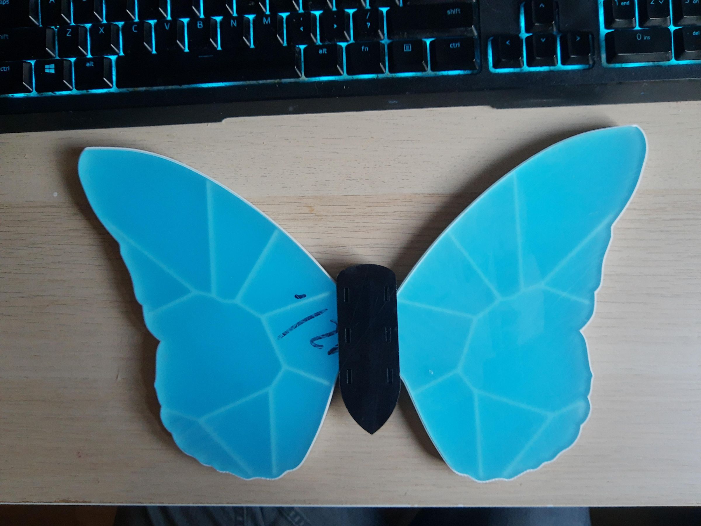 Butterfly LED Panel: Smart Light for ESPHome : 8 Steps (with Pictures ...