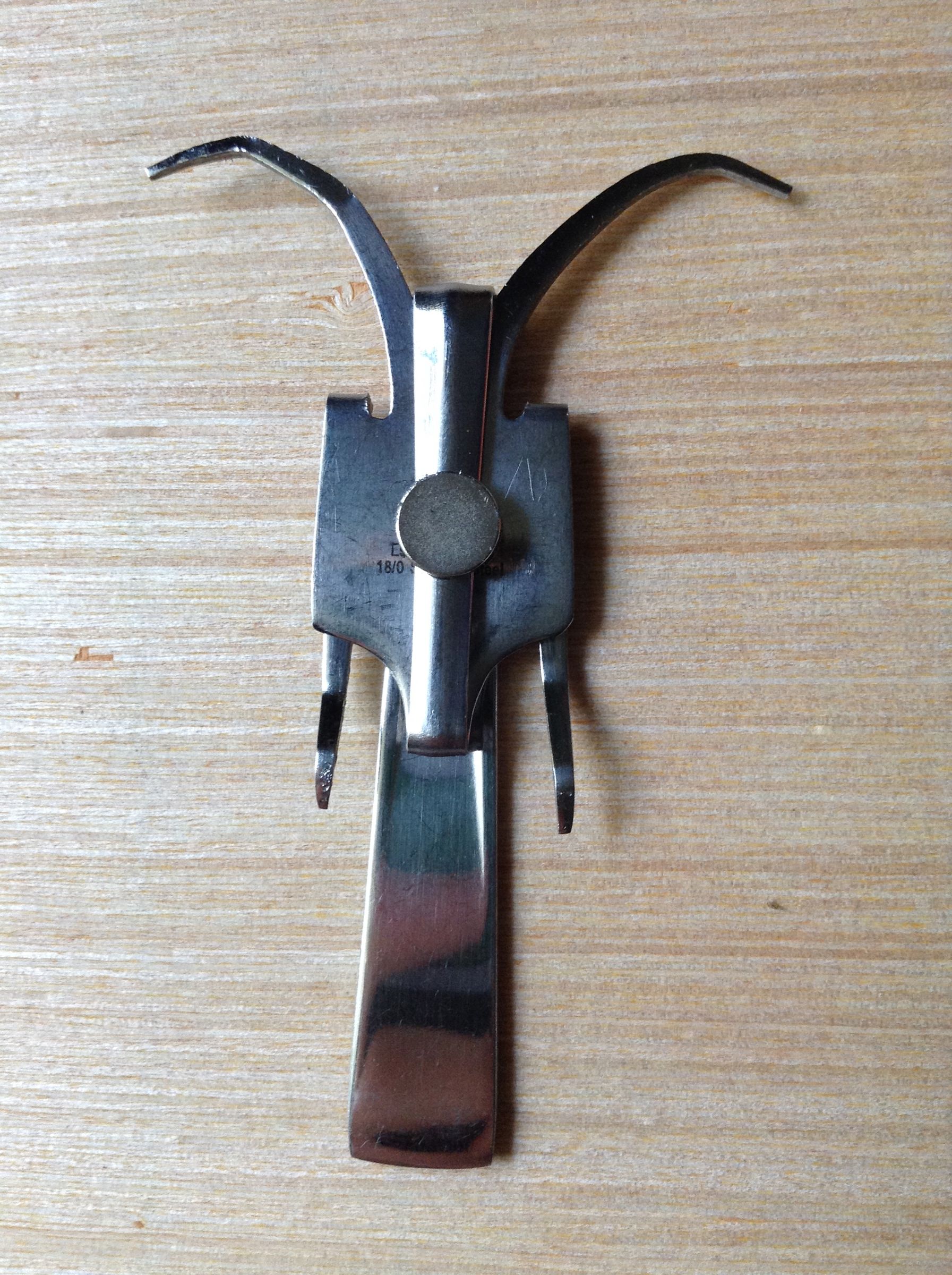 Make Fork Bugs (Magnets) : 5 Steps (with Pictures) - Instructables