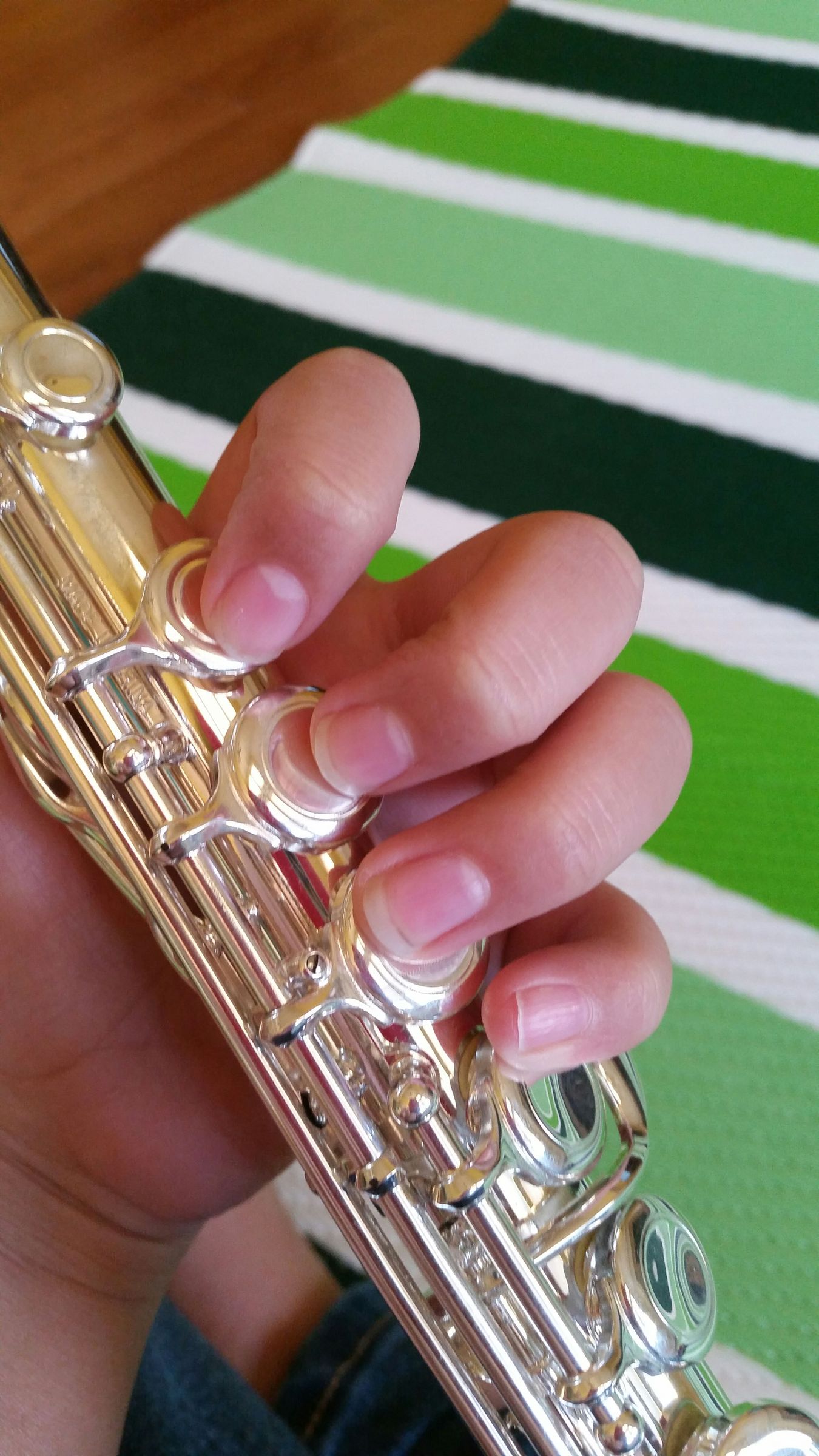 How to Attach a Flute : 4 Steps - Instructables