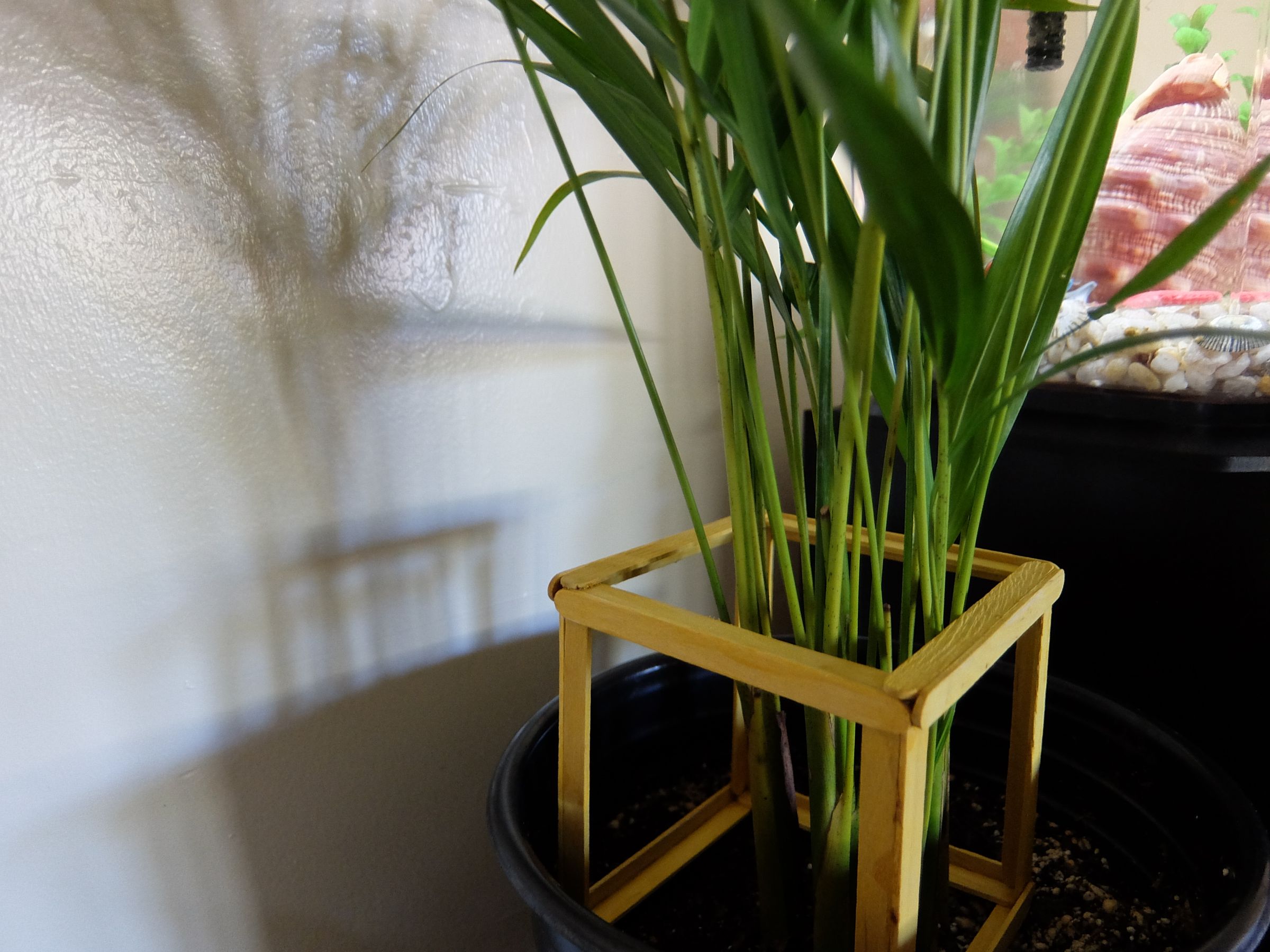 Popsicle Sticks Platonic Solids: Cube : 4 Steps - Instructables
