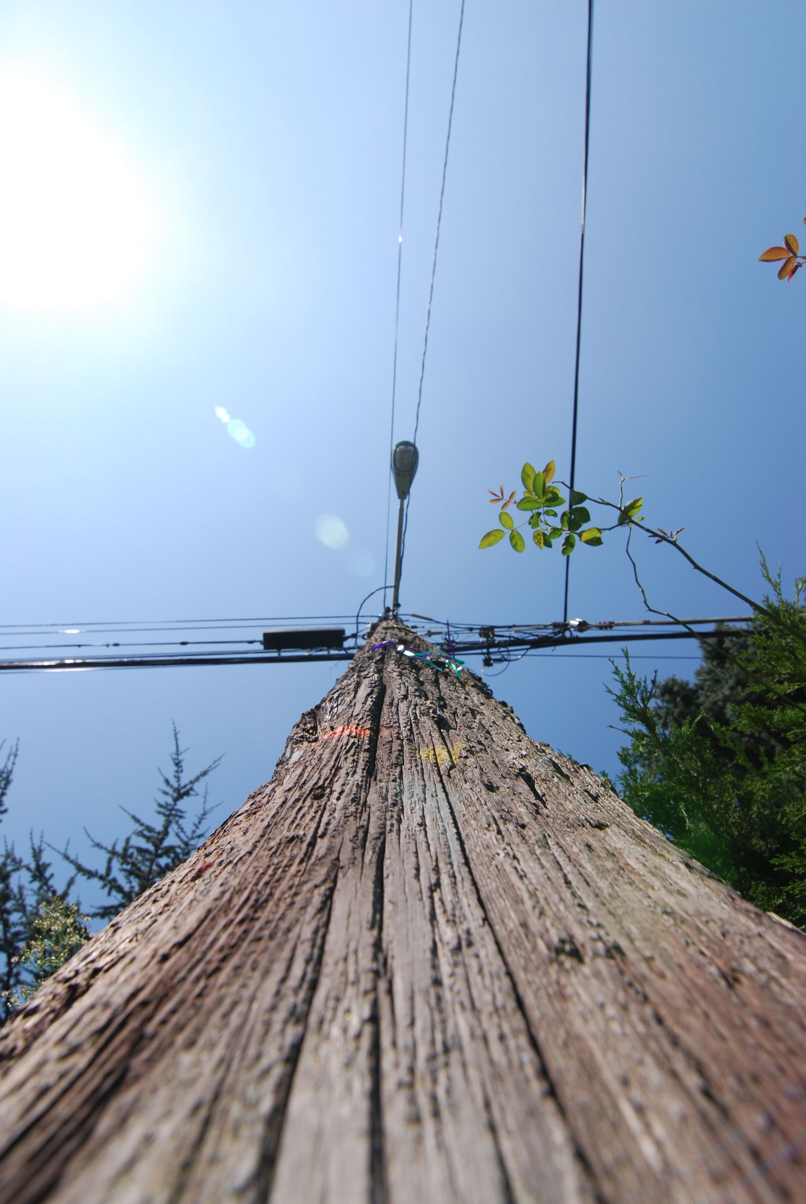 How to Take Great Ultra-Wide Shots : 6 Steps - Instructables