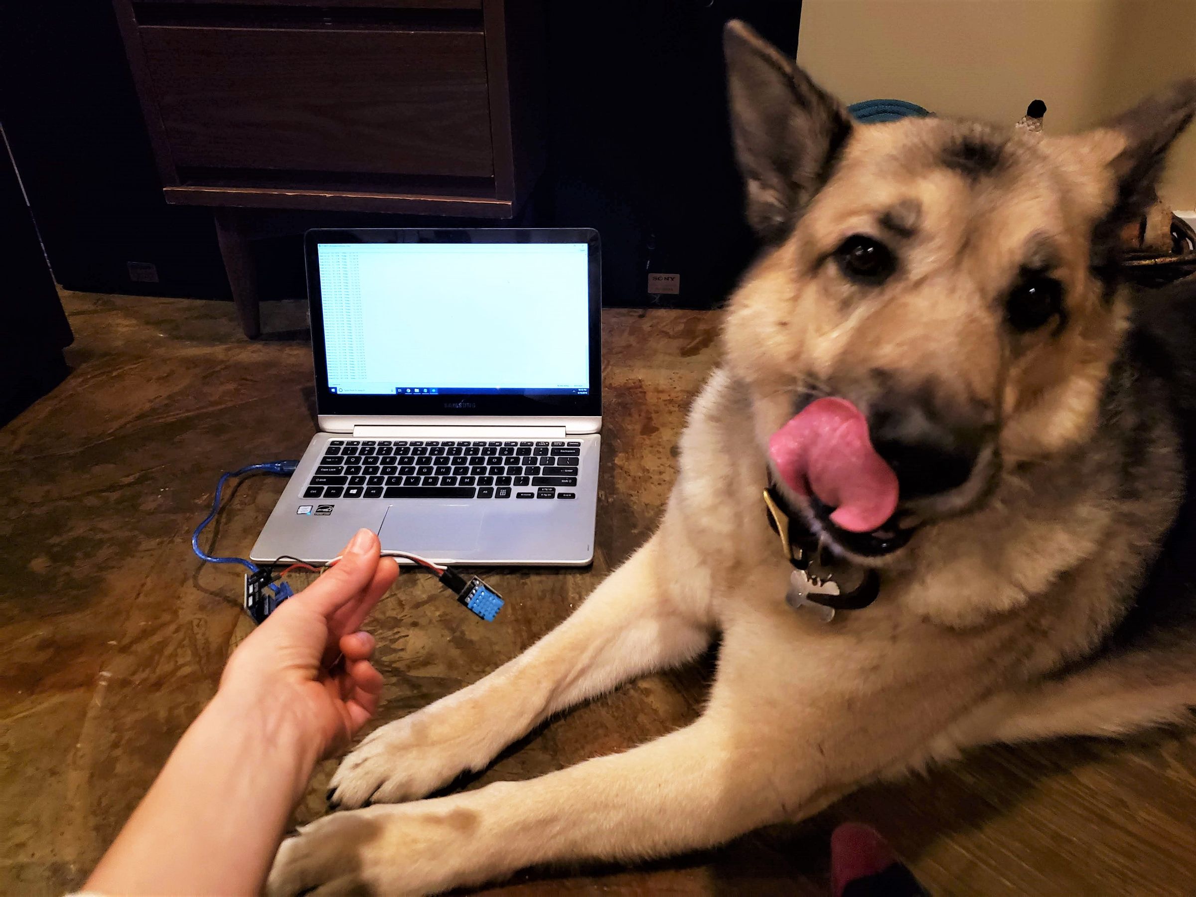 Using Arduino for Citizen Science! : 14 Steps (with Pictures ...