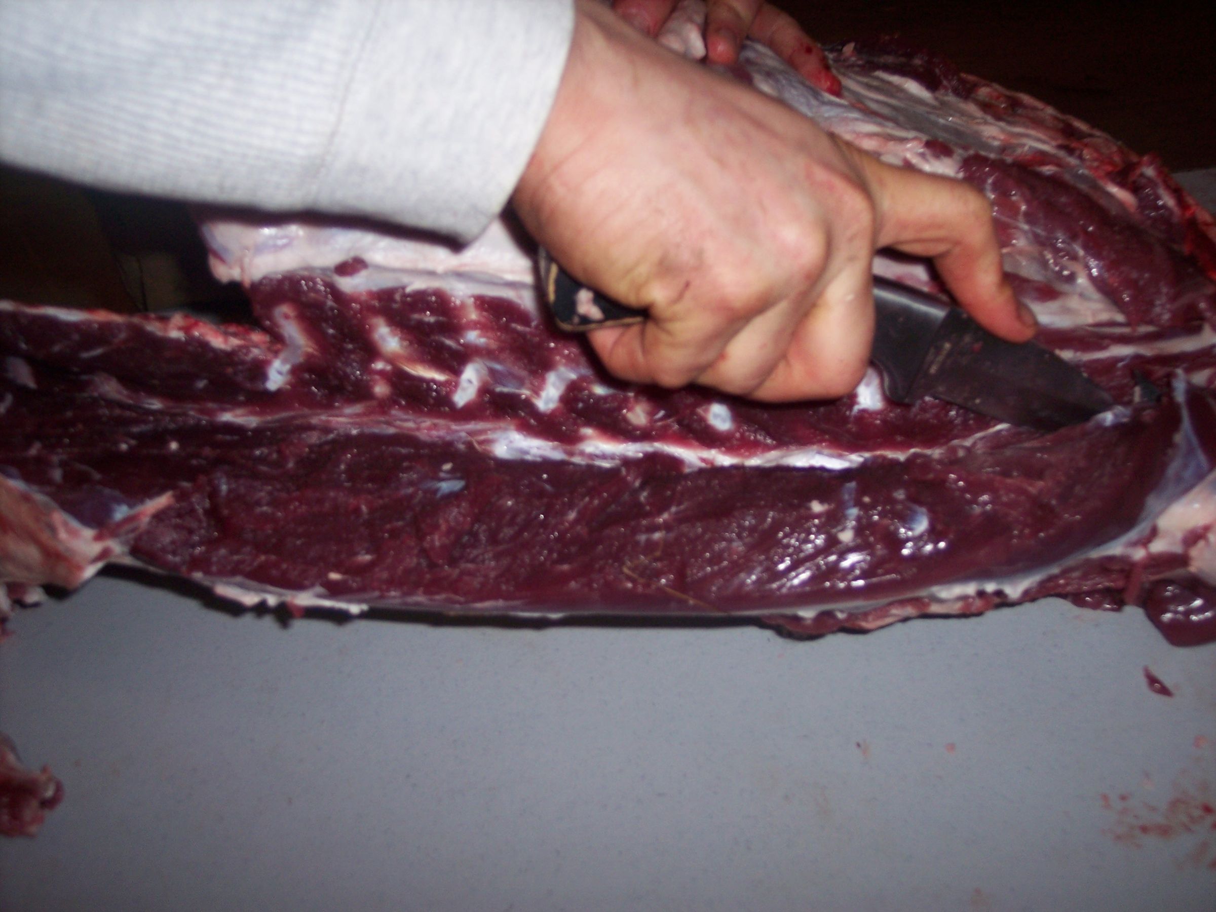 How to Butcher a Lamb : 12 Steps - Instructables