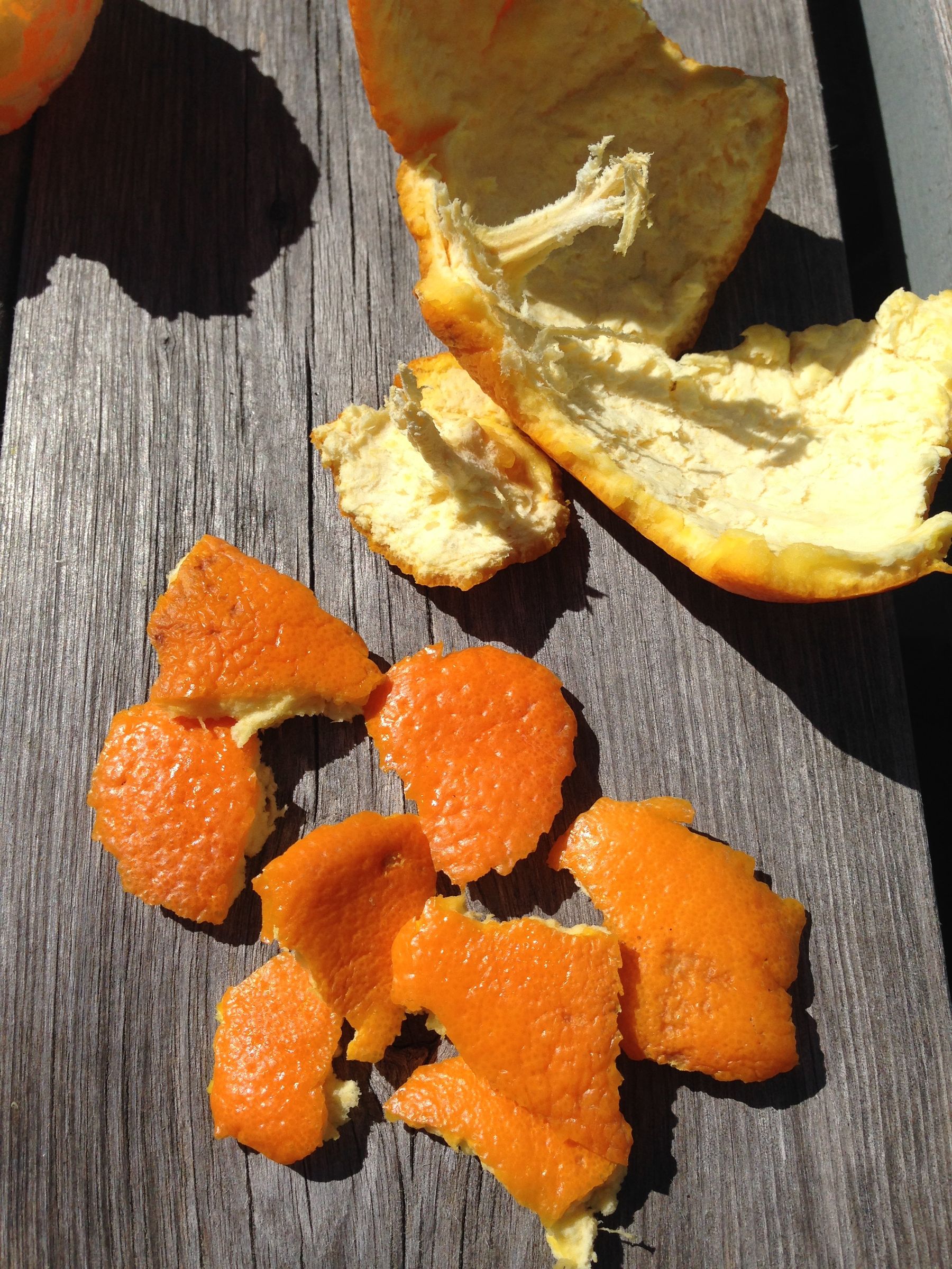 Orange Peel Skewers : 4 Steps (with Pictures) - Instructables