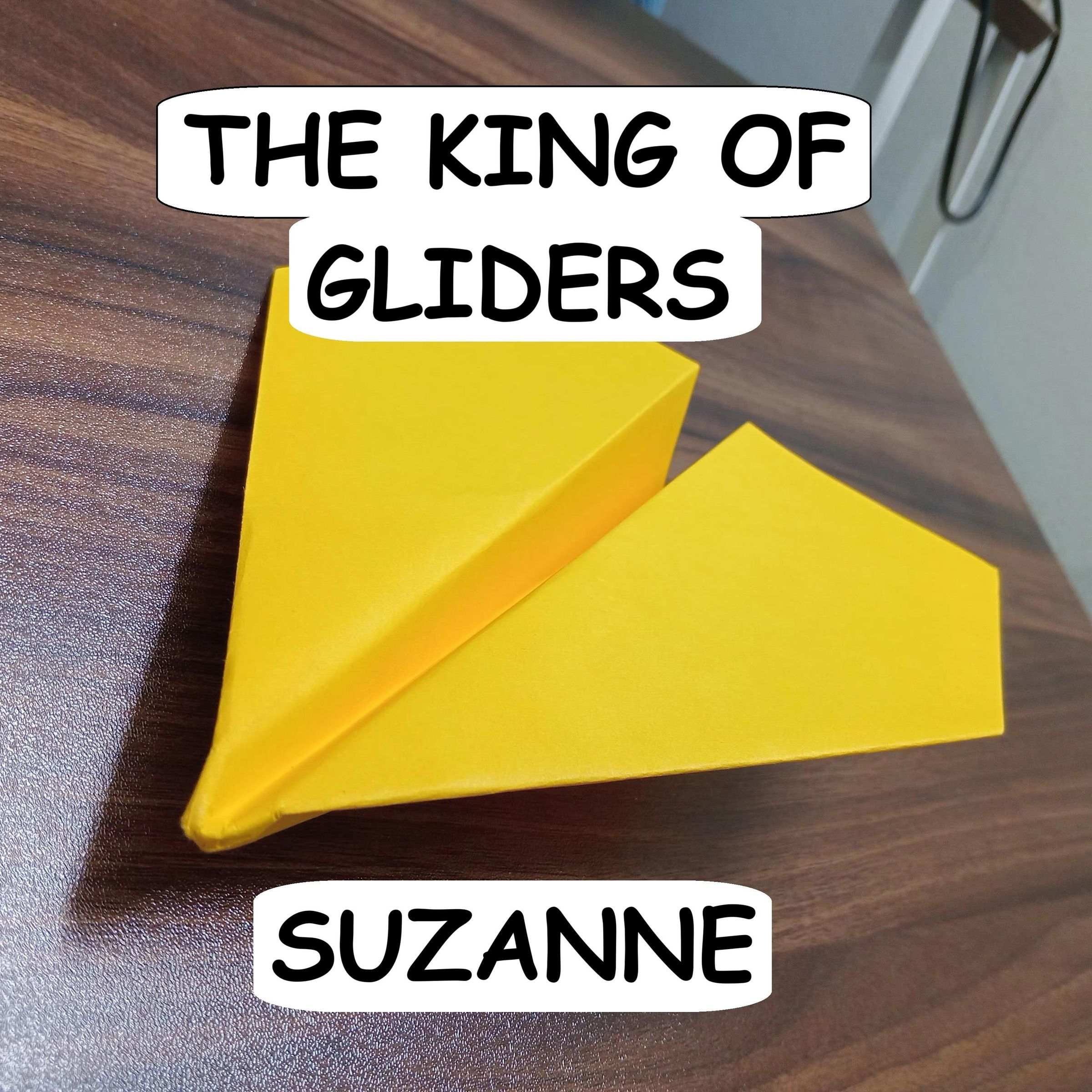 Glide Like a Pro With the Suzanne Airplane : 5 Steps (with Pictures ...