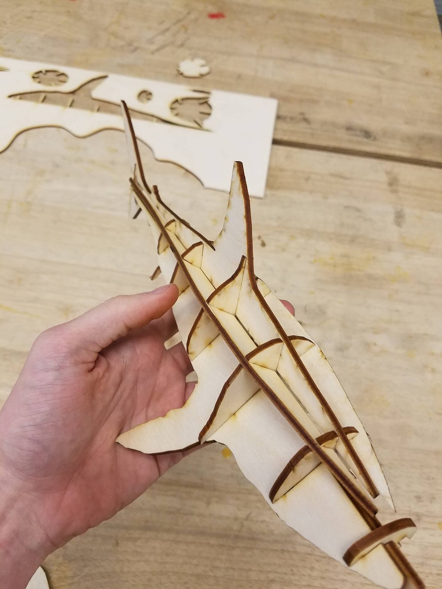 Laser Cut Shark : 4 Steps (with Pictures) - Instructables