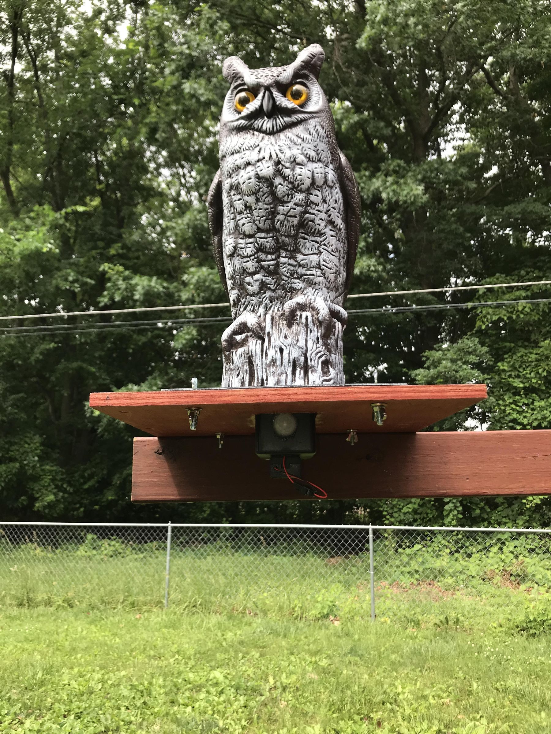 Automated Garden Owl Scarecrow : 7 Steps (with Pictures) - Instructables