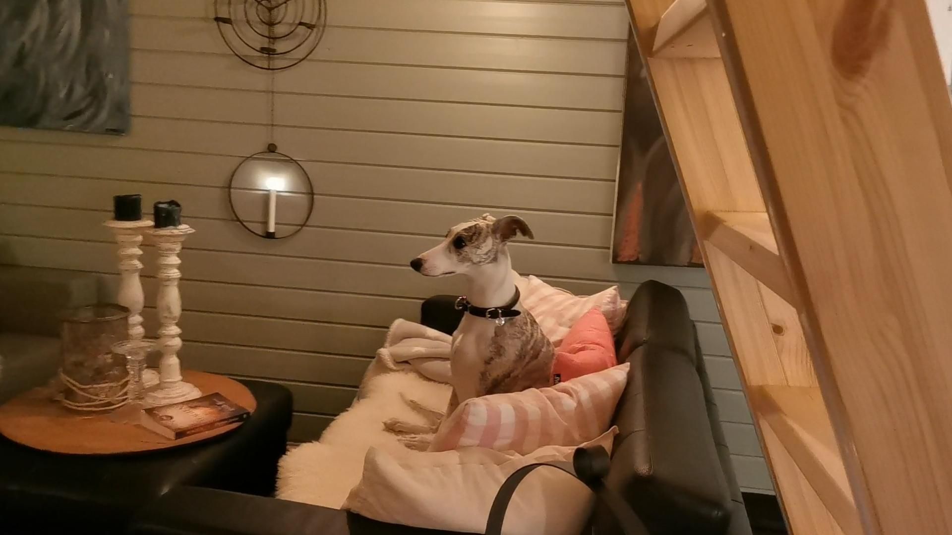 Levitating Ladder Lamp : 7 Steps (with Pictures) - Instructables