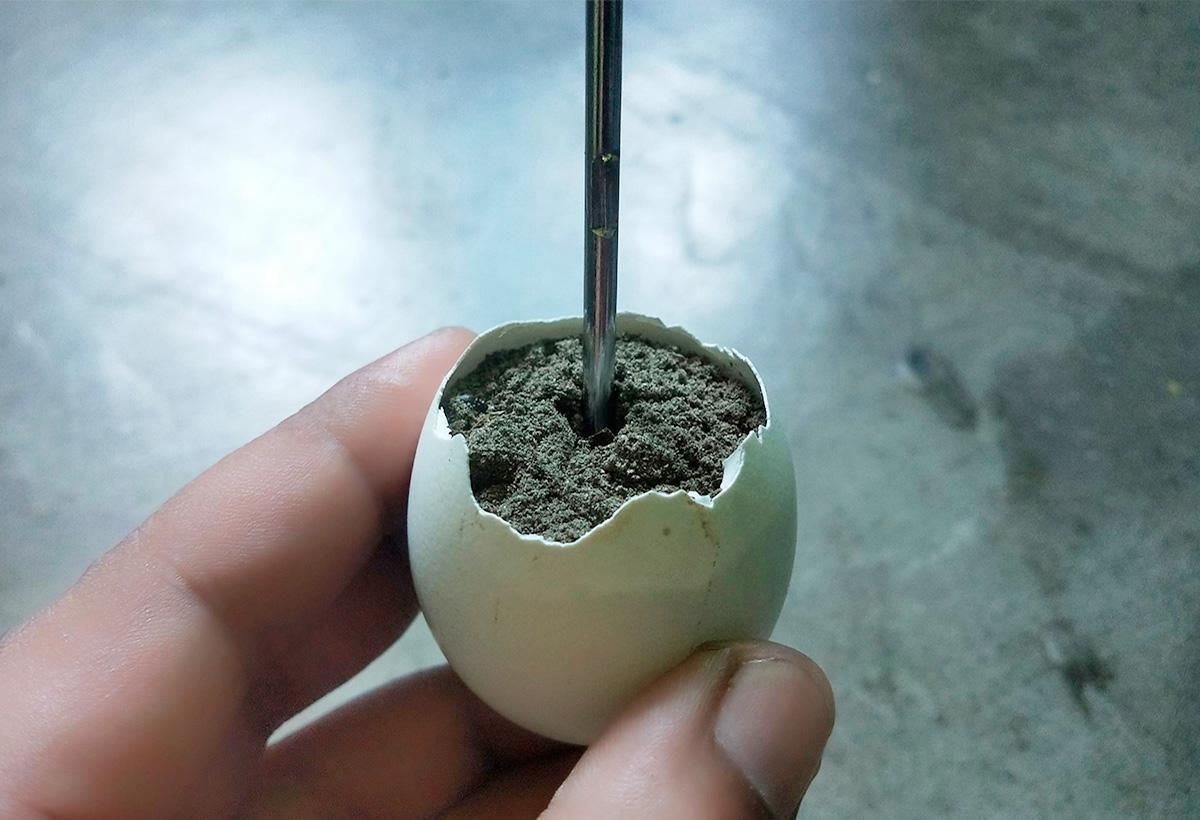 Egg Shell Planter | Gardening : 5 Steps (with Pictures) - Instructables