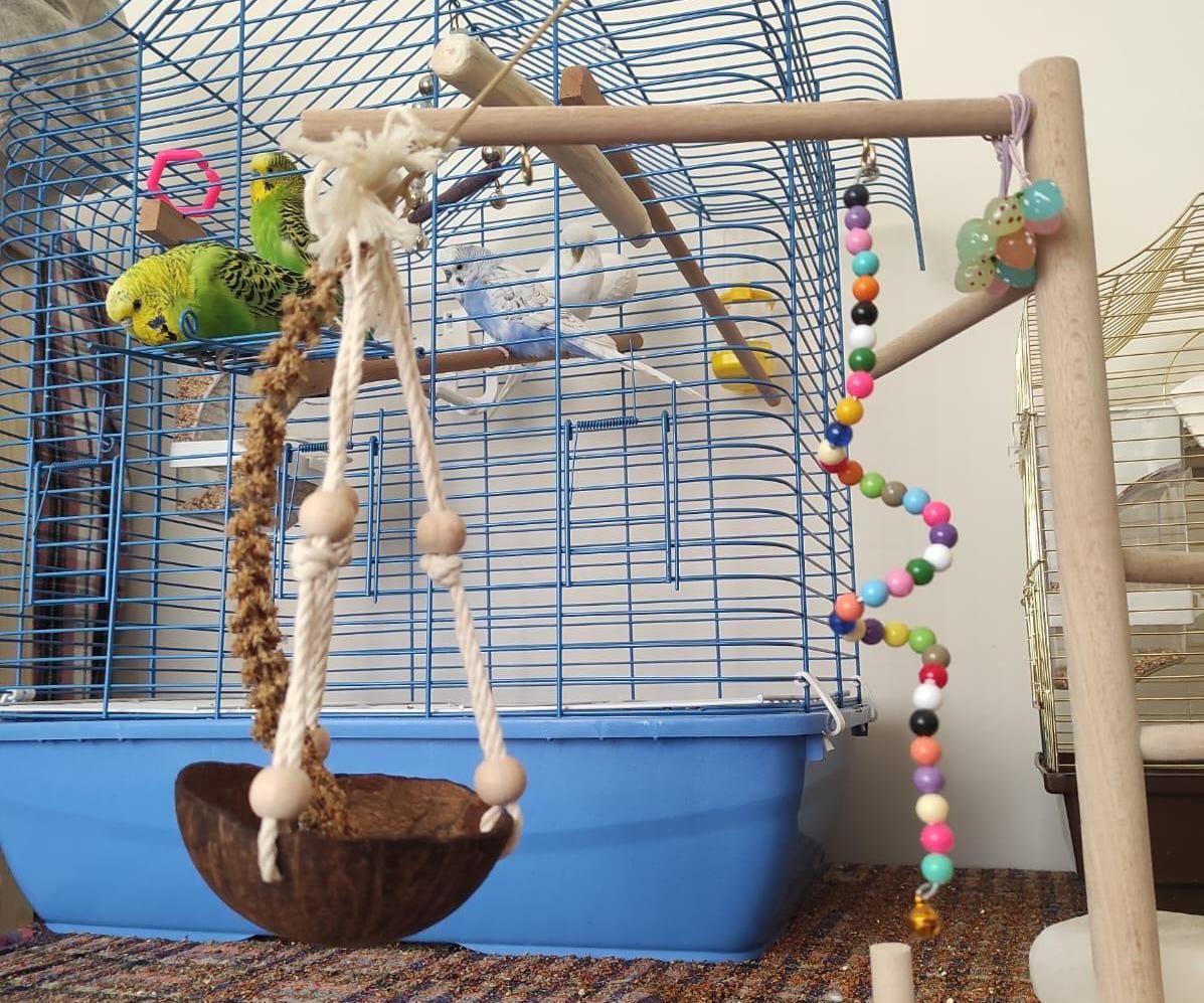 Coconut Swing : 8 Steps (with Pictures) - Instructables