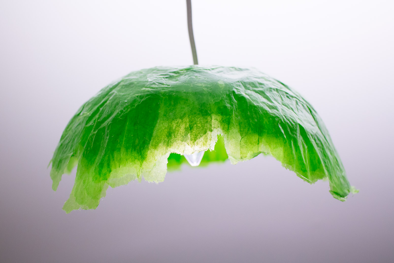 Tools and Materials for Paper Mache : 5 Steps - Instructables