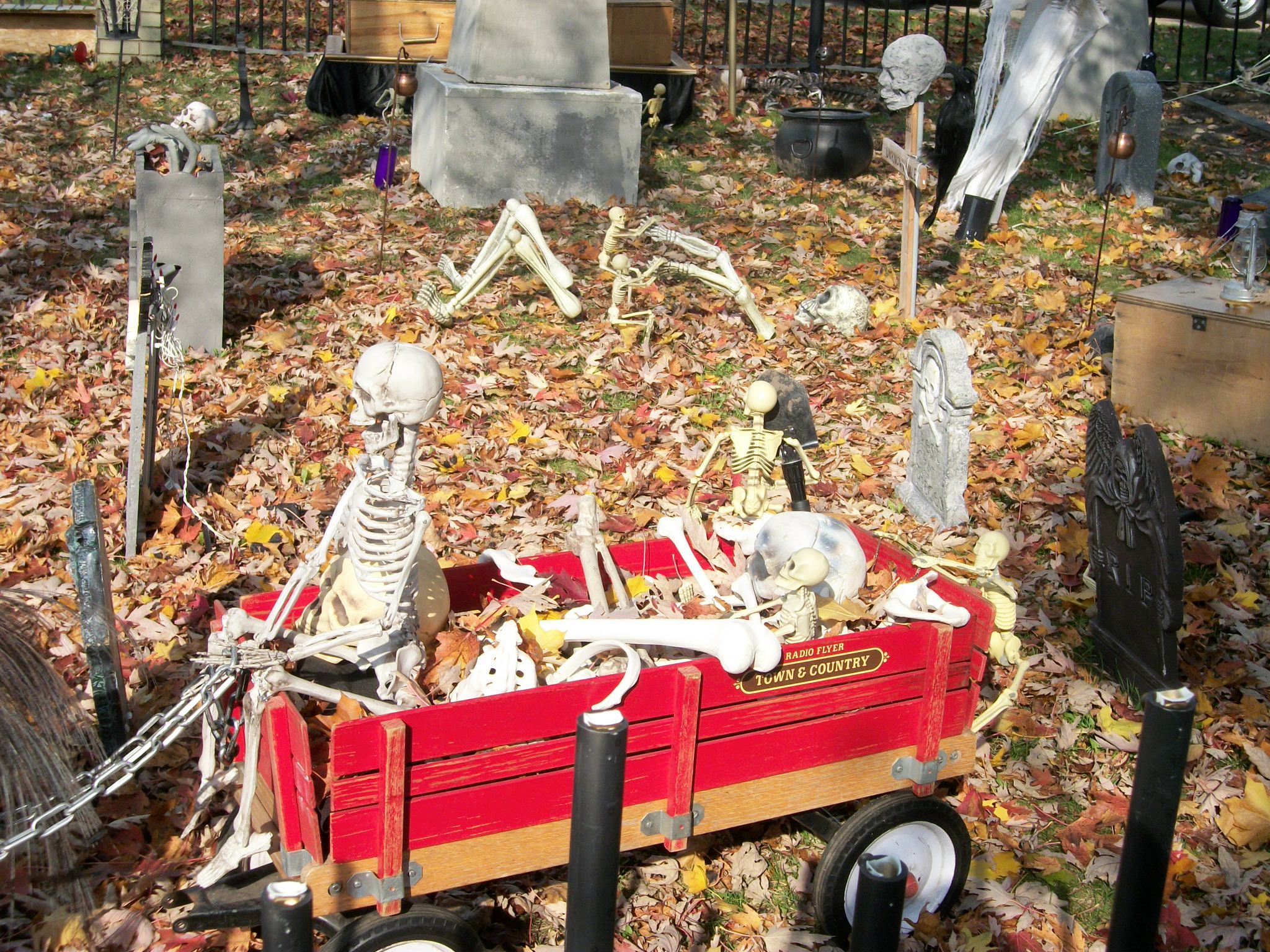 Posable Skelly : 5 Steps (with Pictures) - Instructables