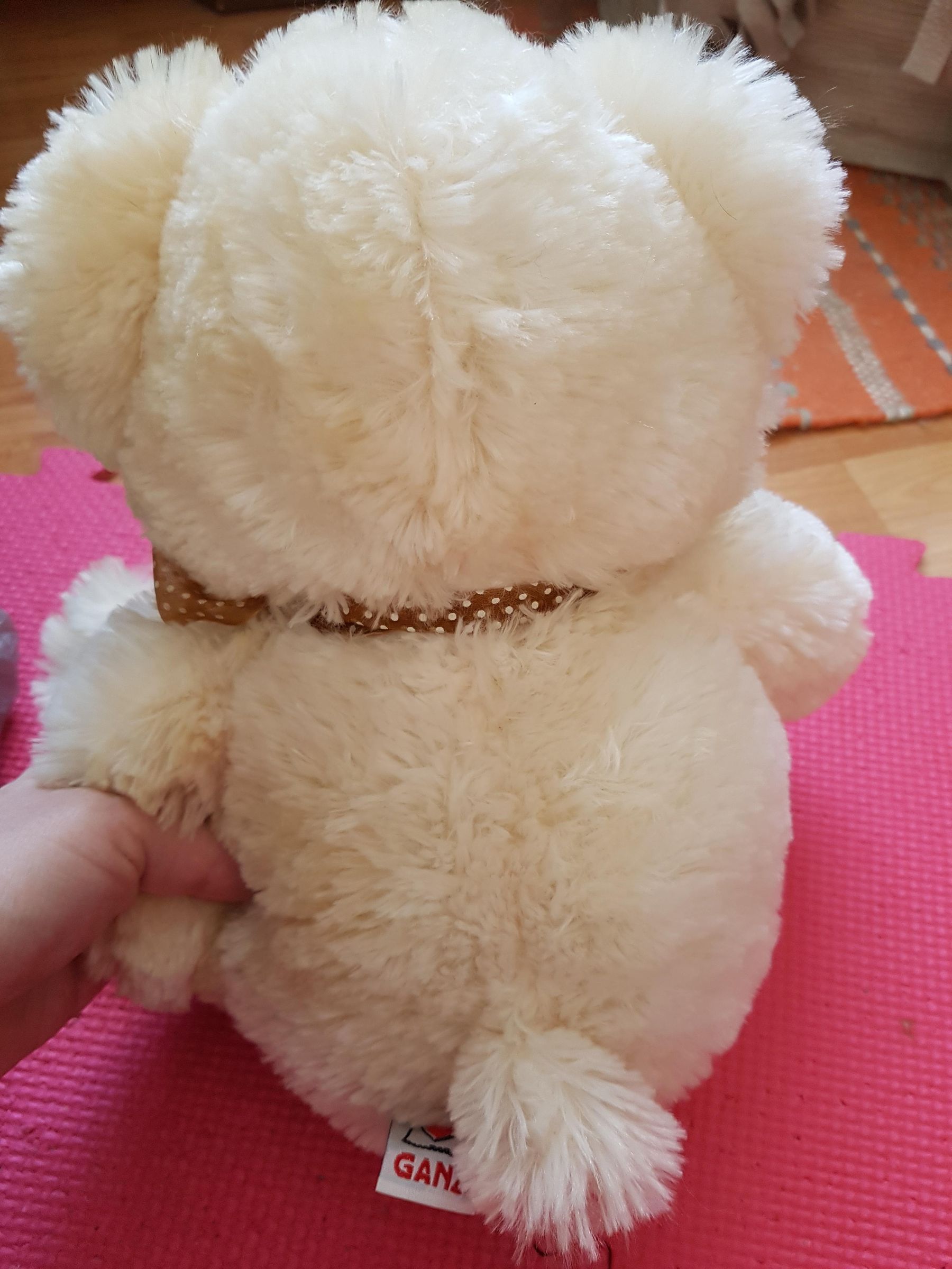 Turn Your Pet Into a Real Life Teddy Bear : 7 Steps (with Pictures ...