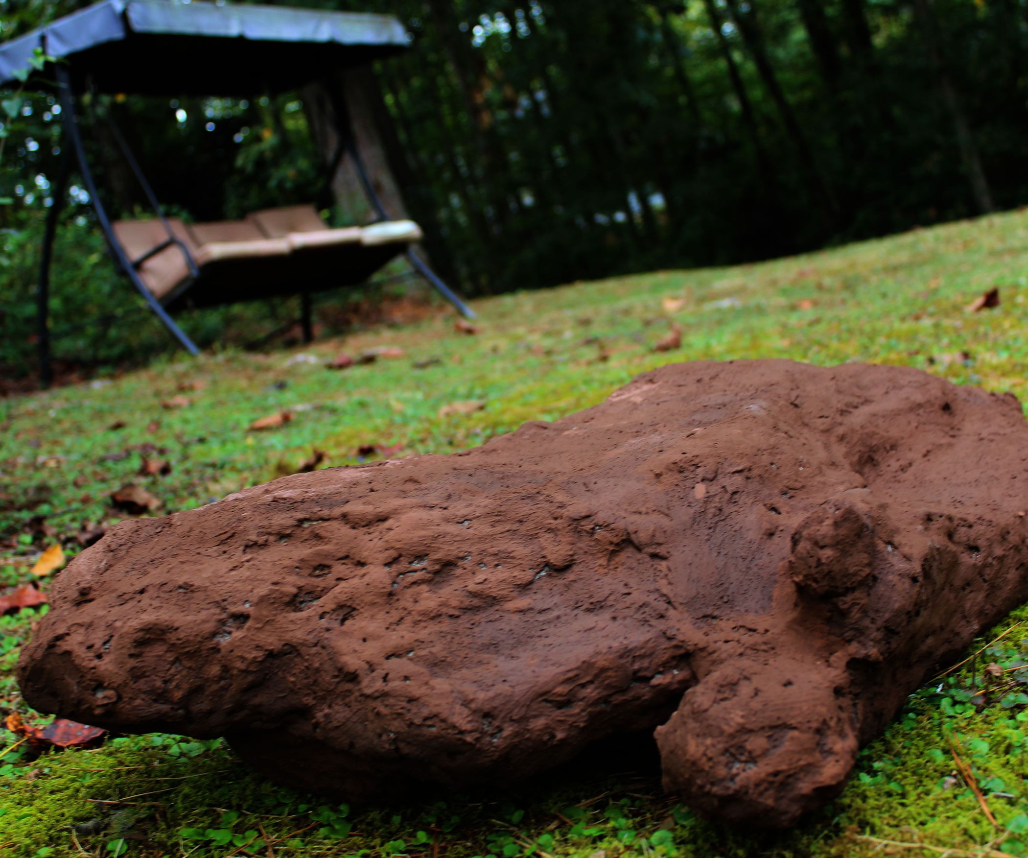 Large Turtle Dock : 6 Steps - Instructables