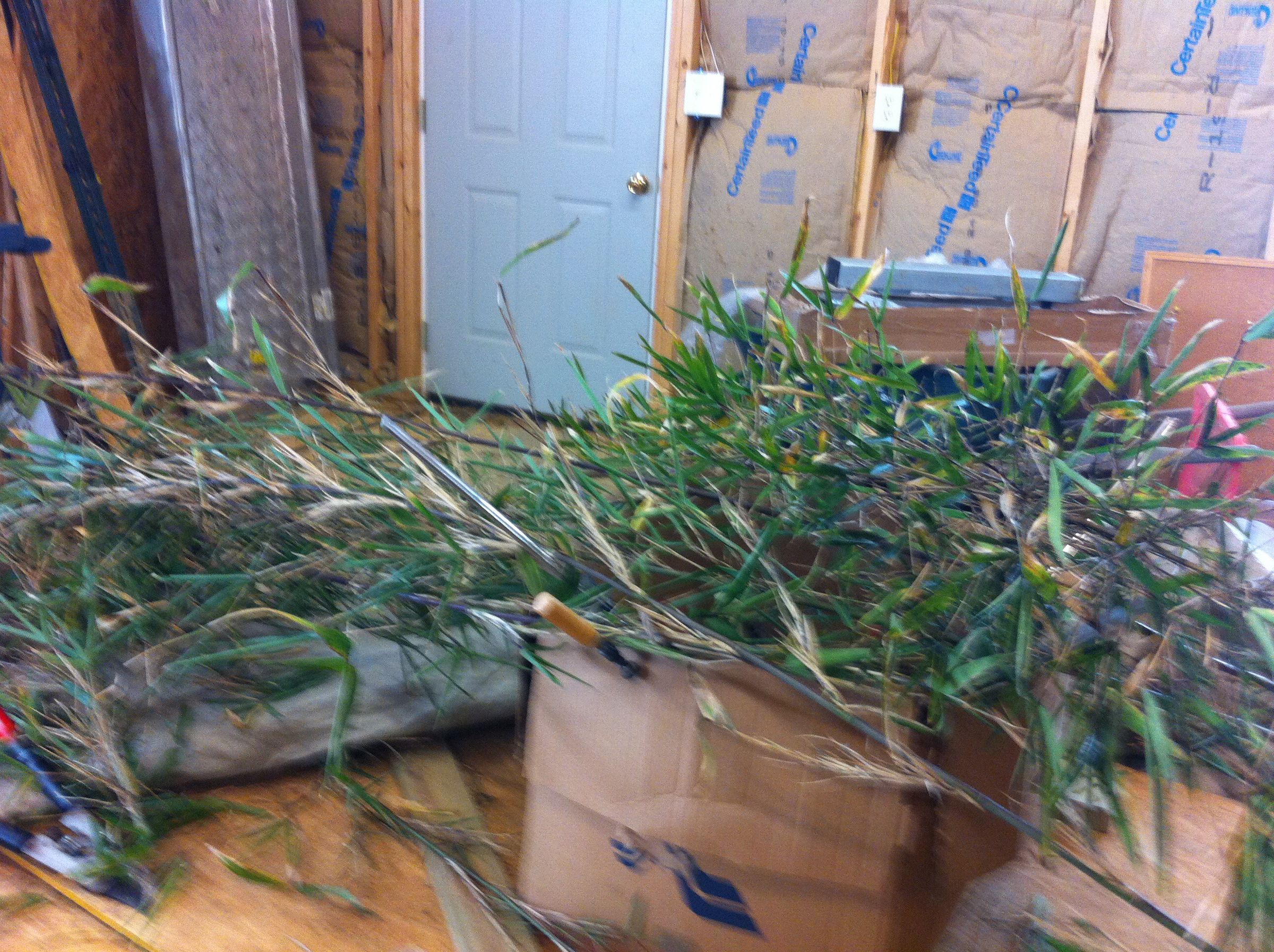 Bamboo Glider:updated: - Instructables