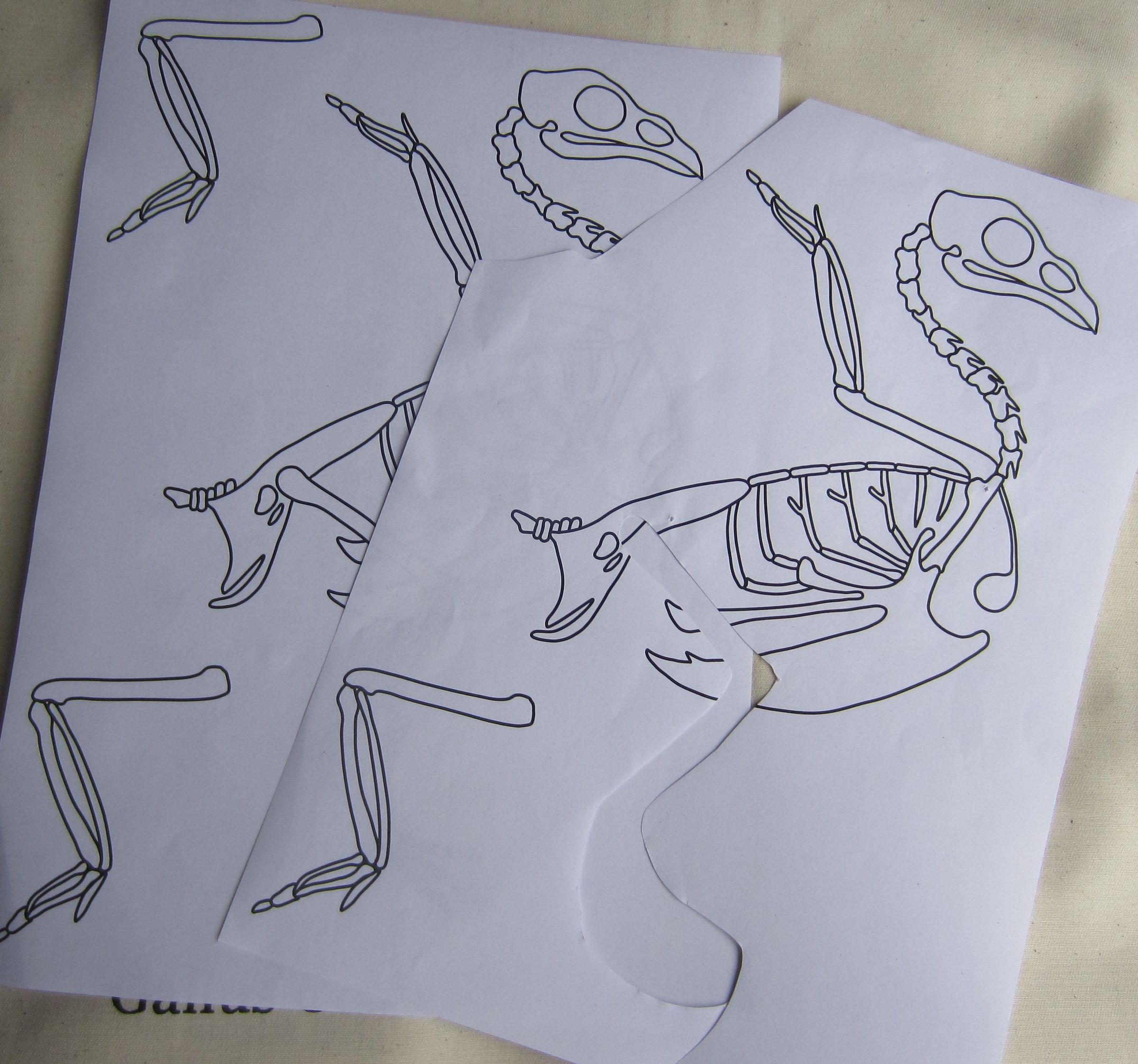 Chicken Skeleton Paper Puppet (with Pictures) - Instructables