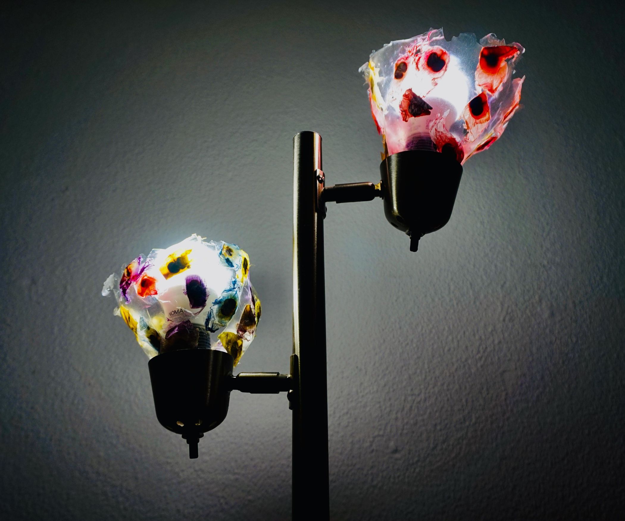 Seaweed Bioplastic Lampshade : 3 Steps - Instructables