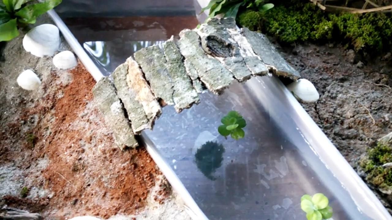 Turtle Habitat for Baby Turtles | Homemade Turtle Garden : 18 Steps ...
