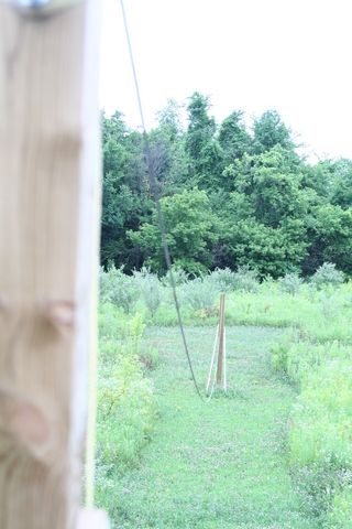 Zip Line Racer : 7 Steps - Instructables