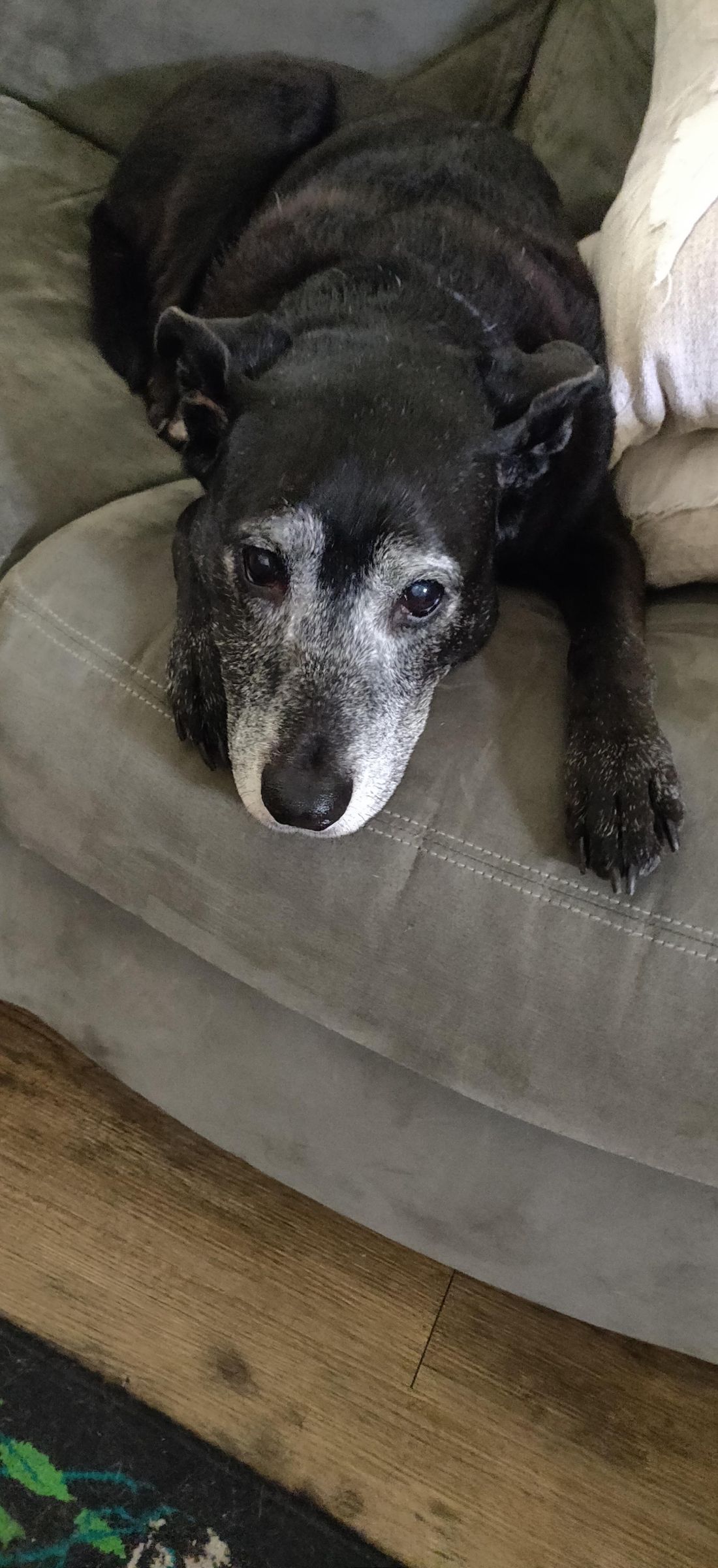 Kinetic Seven Segment Clock : 5 Steps (with Pictures) - Instructables