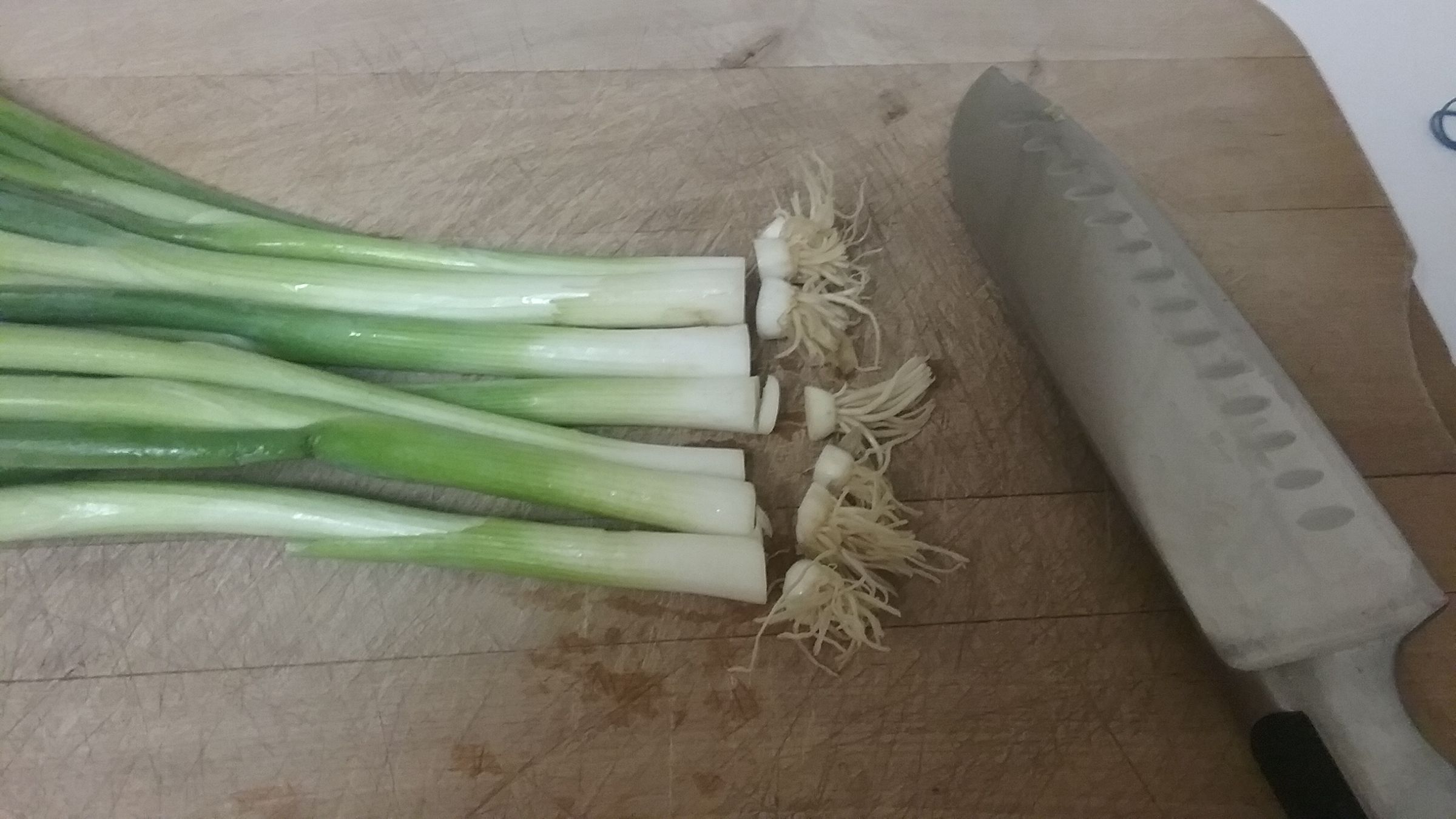 Corned Beef Brain Dip : 5 Steps (with Pictures) - Instructables